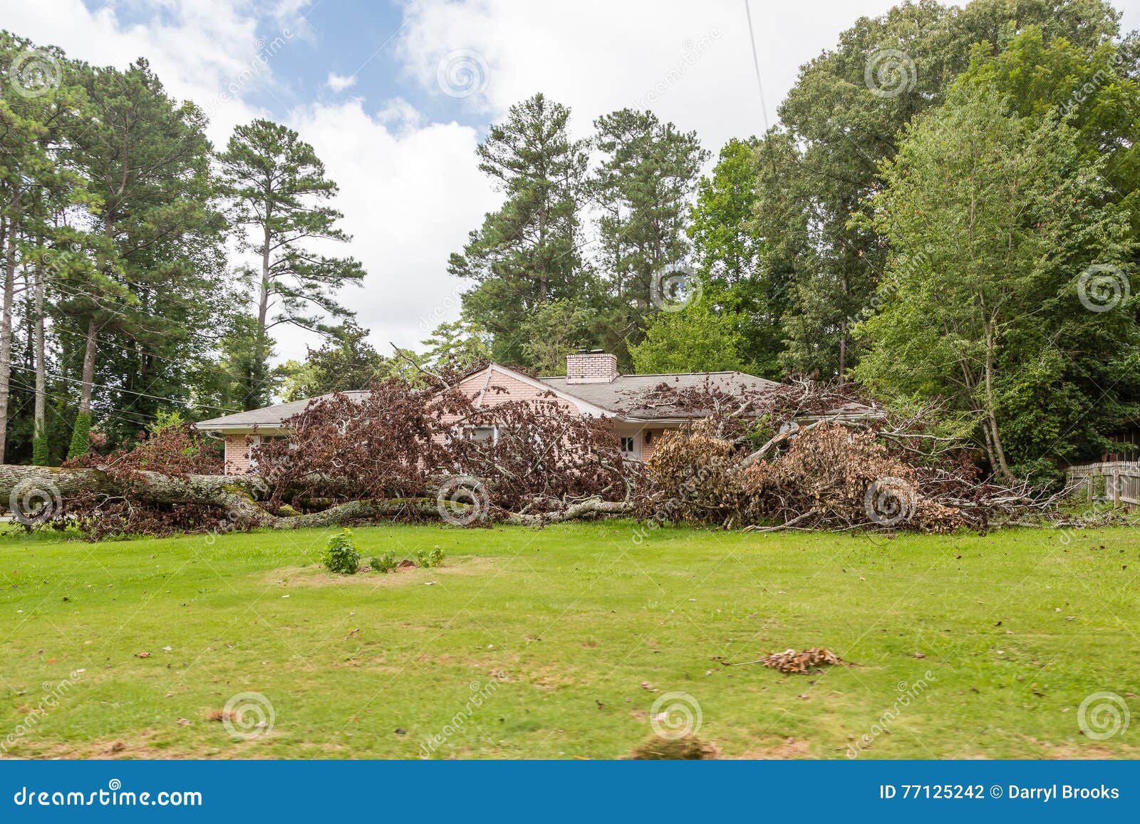Downed Tree at House stock photo. Image of tree, blown - 77125242