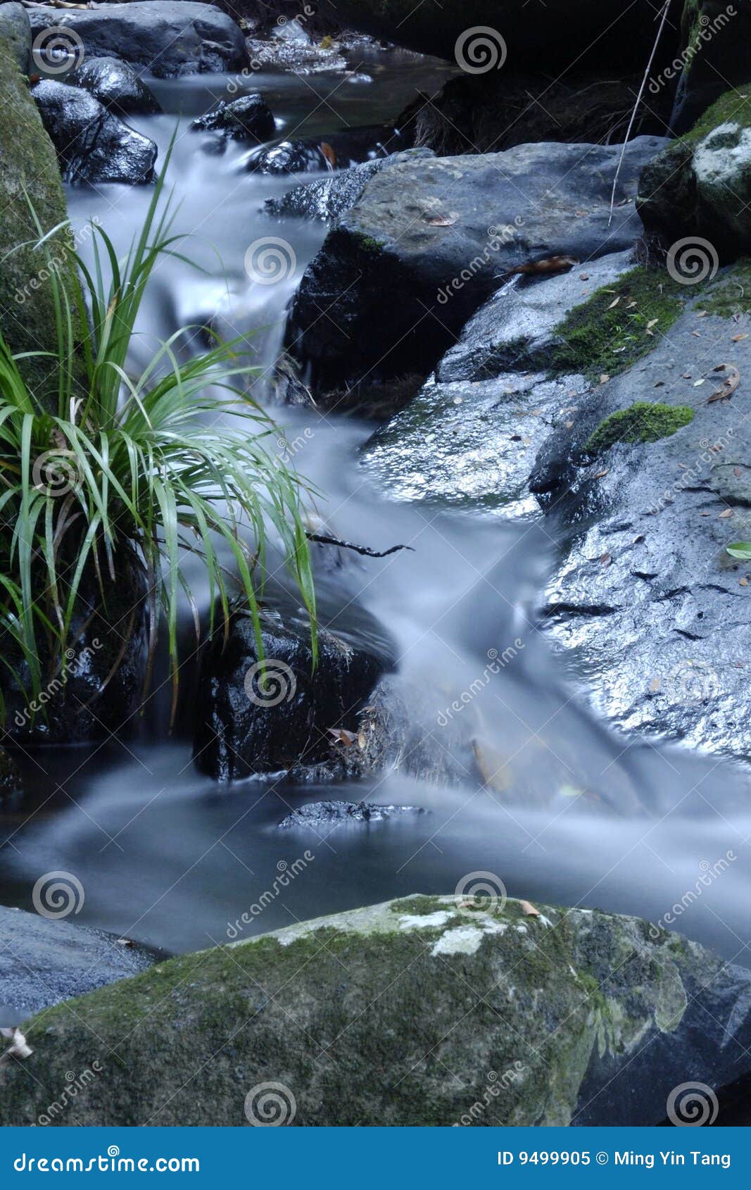 Downhill Flowing Water stock image. Image of rock, downhill - 9499905