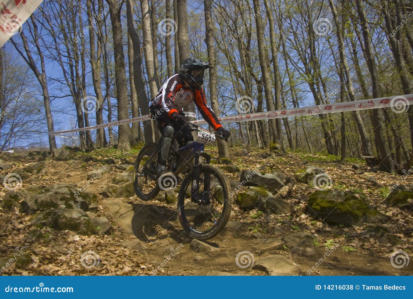 DownHill Race editorial stock photo. Image of tree, cycling - 14216038
