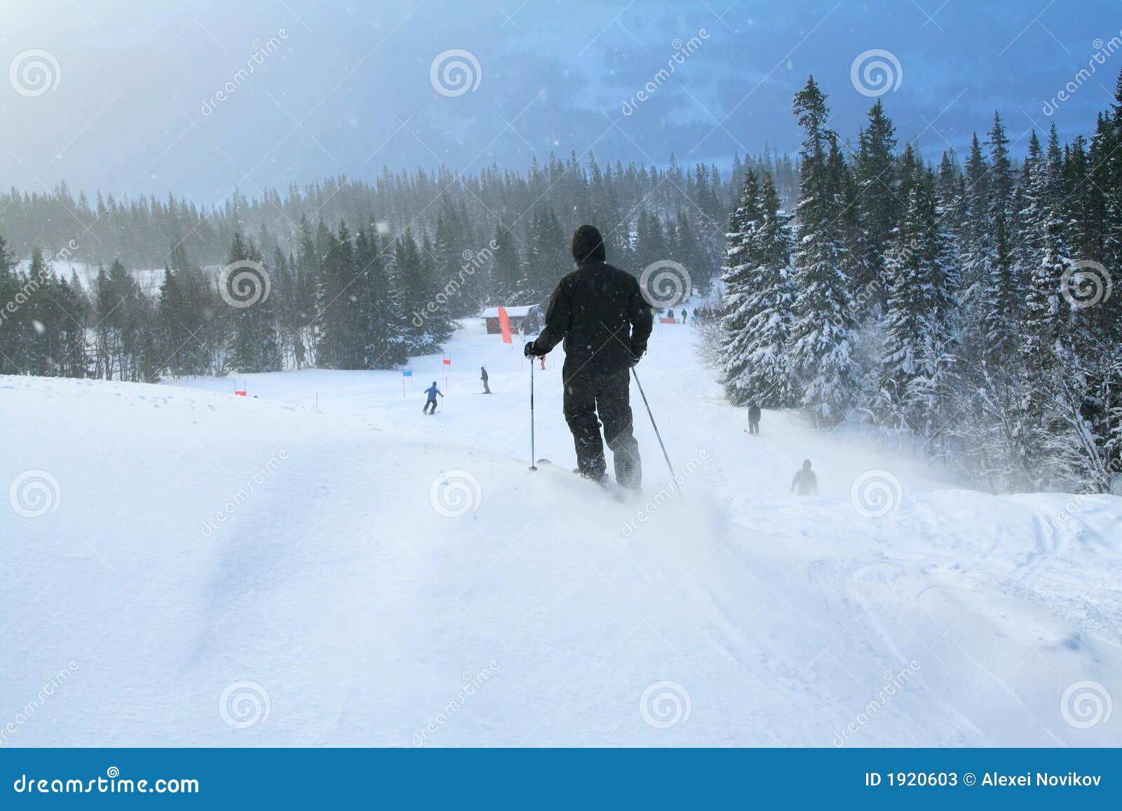 Downlill skiing 2 stock image. Image of snowboard, downhill - 1920603