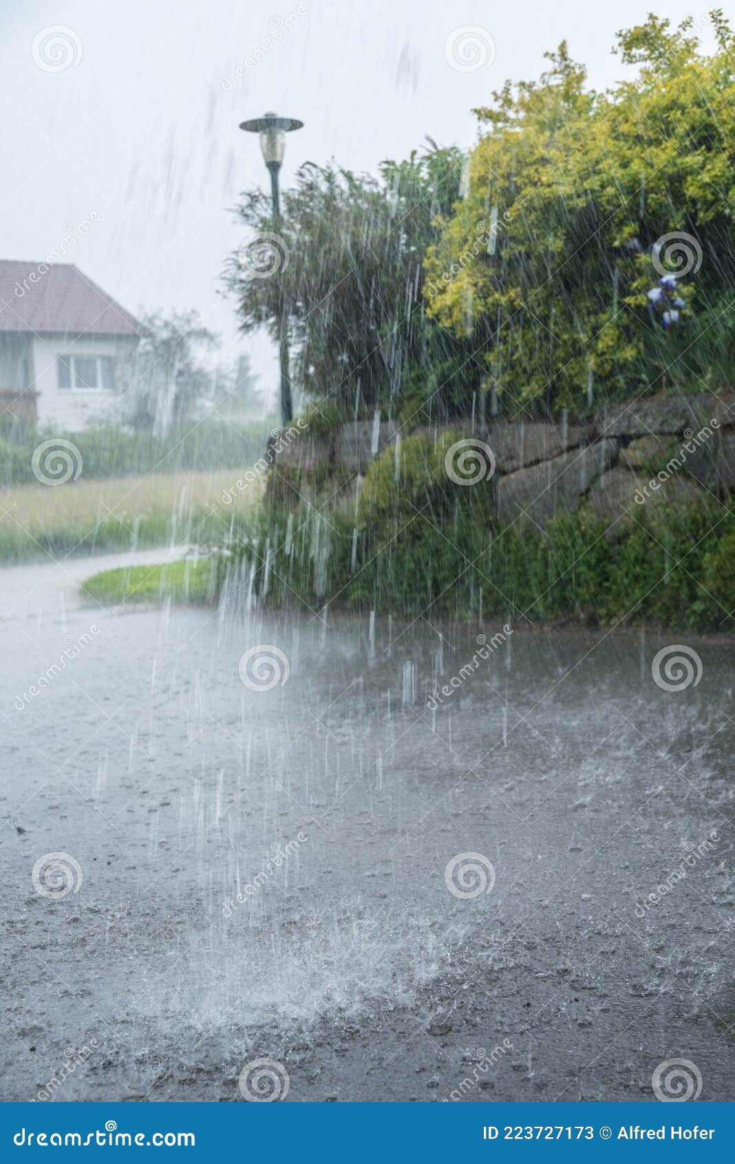 Downpour in thunderstorms stock image. Image of thunderstorm - 223727173