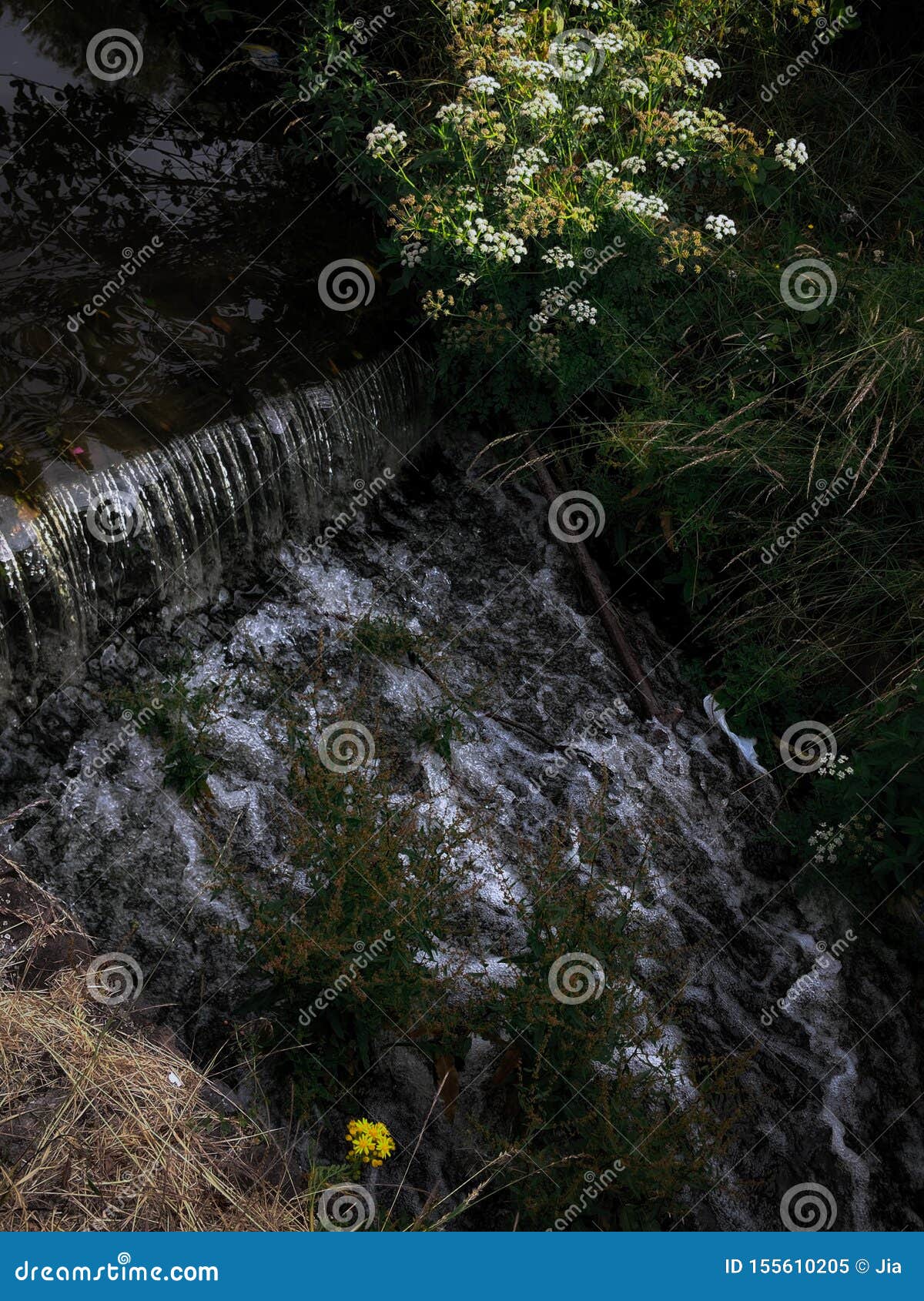 Downstream stock image. Image of nature, peaceful, downstream - 155610205