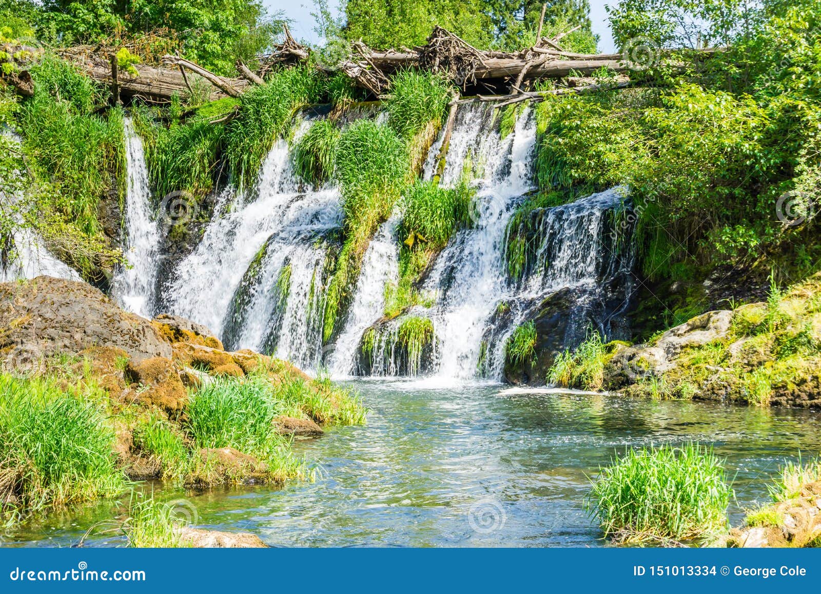 Downstream from Waterfall 6 Stock Photo - Image of water, nature: 151013334
