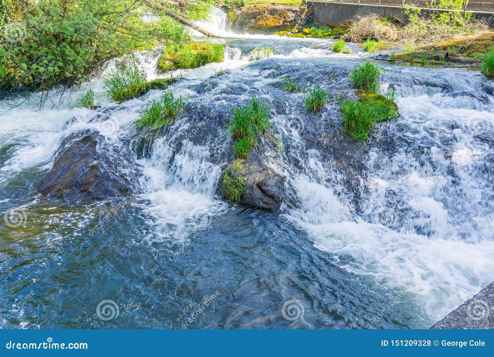 Downstream from Waterfall 4 Stock Photo - Image of downstream, tumwater ...