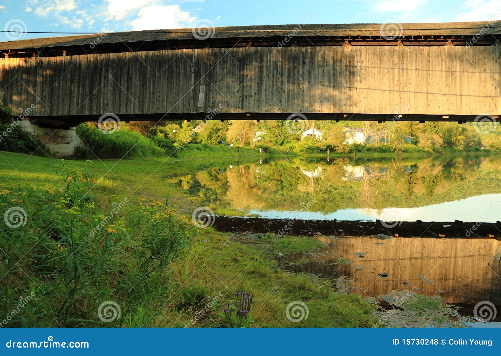 Downsville Bridge Green Bank Stock Photo - Image of delaware, leaves ...