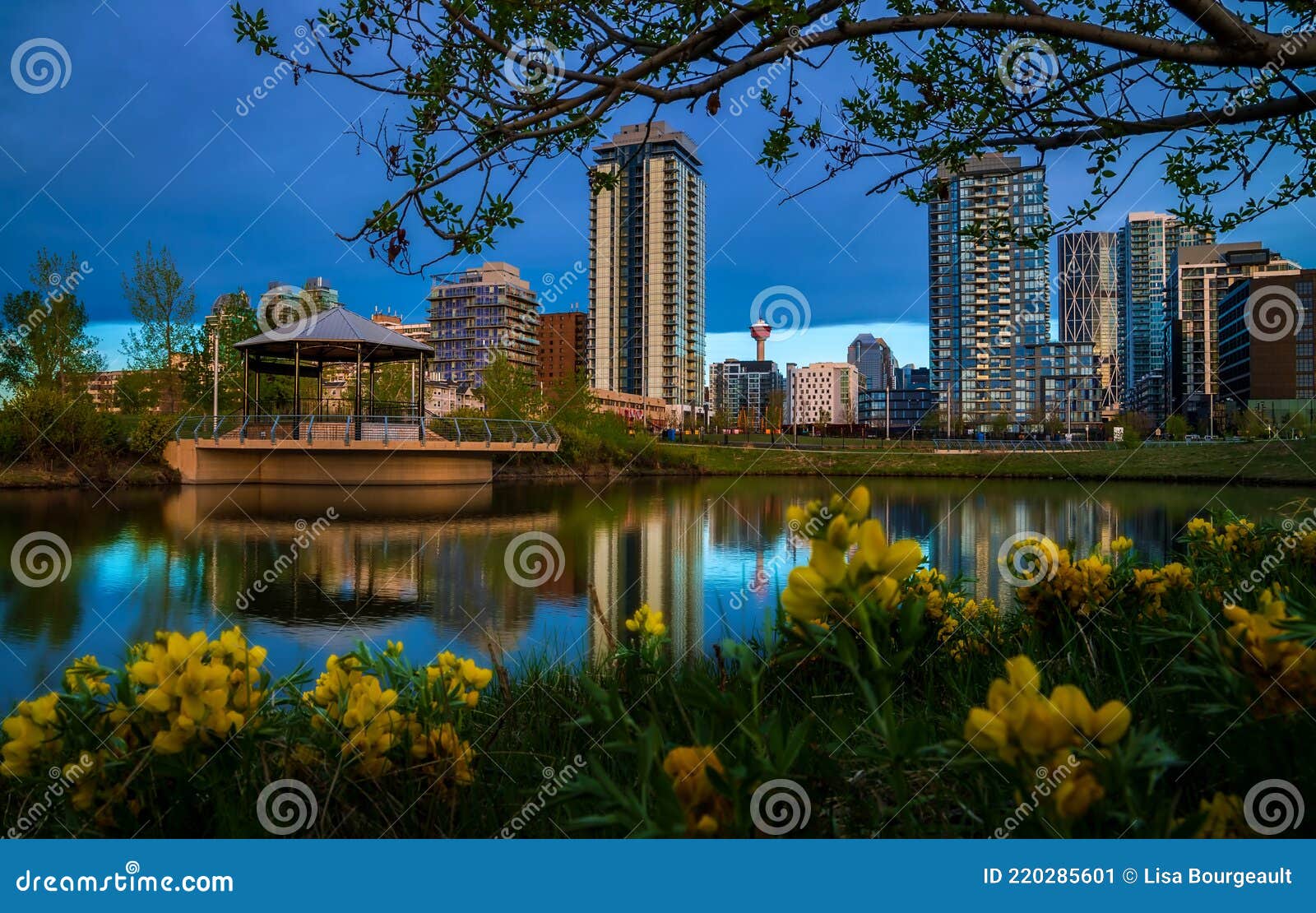 Downtown Calgary Framed by Spring Flowers Stock Image - Image of ...
