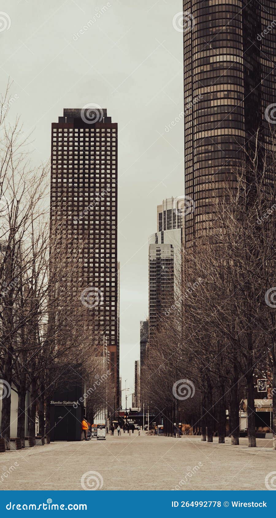 Vertical Shot of Downtown Chicago at Navy Pier Path Editorial Stock ...
