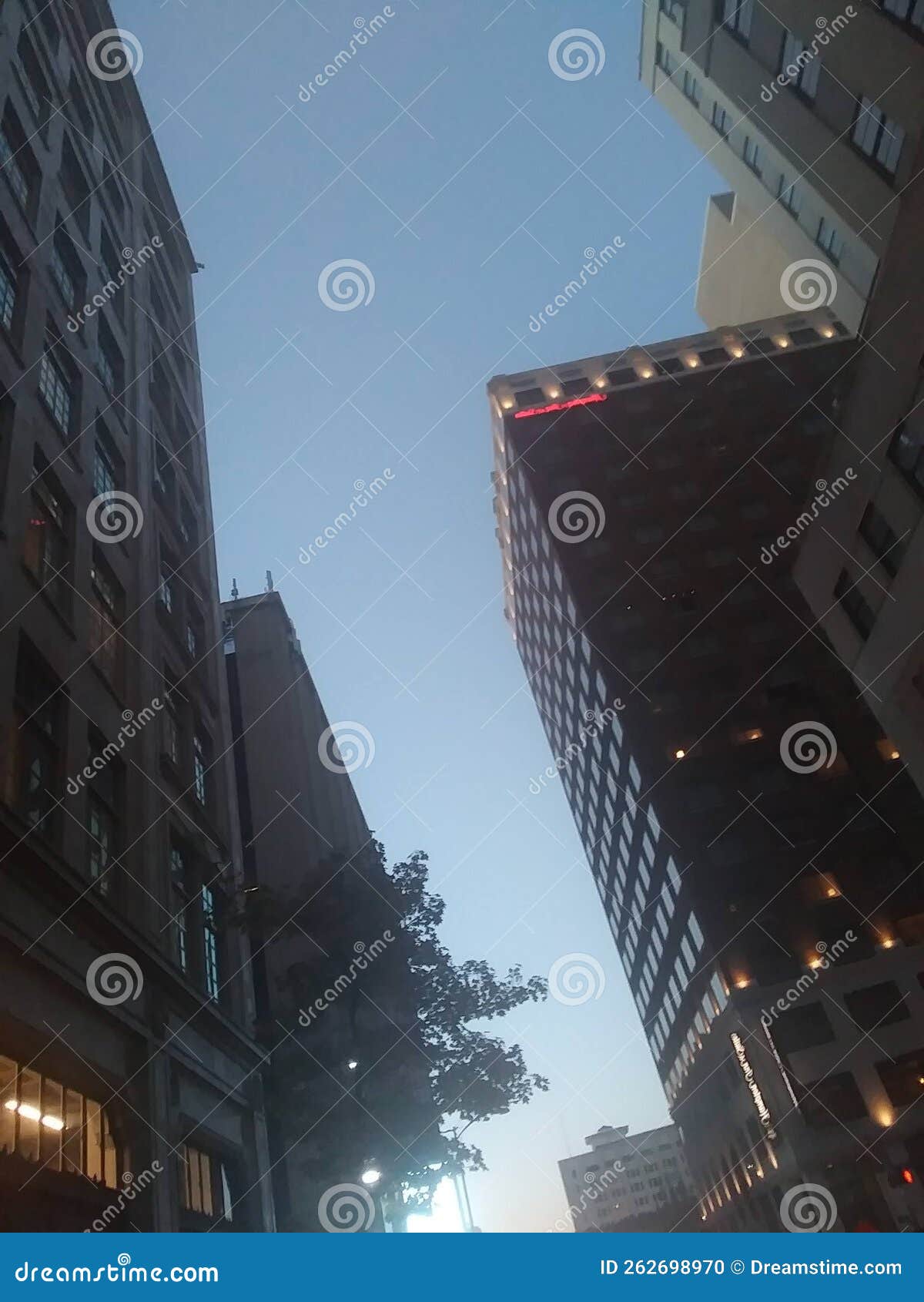 Downtown Dallas Nightlife stock photo. Image of peaceful - 262698970