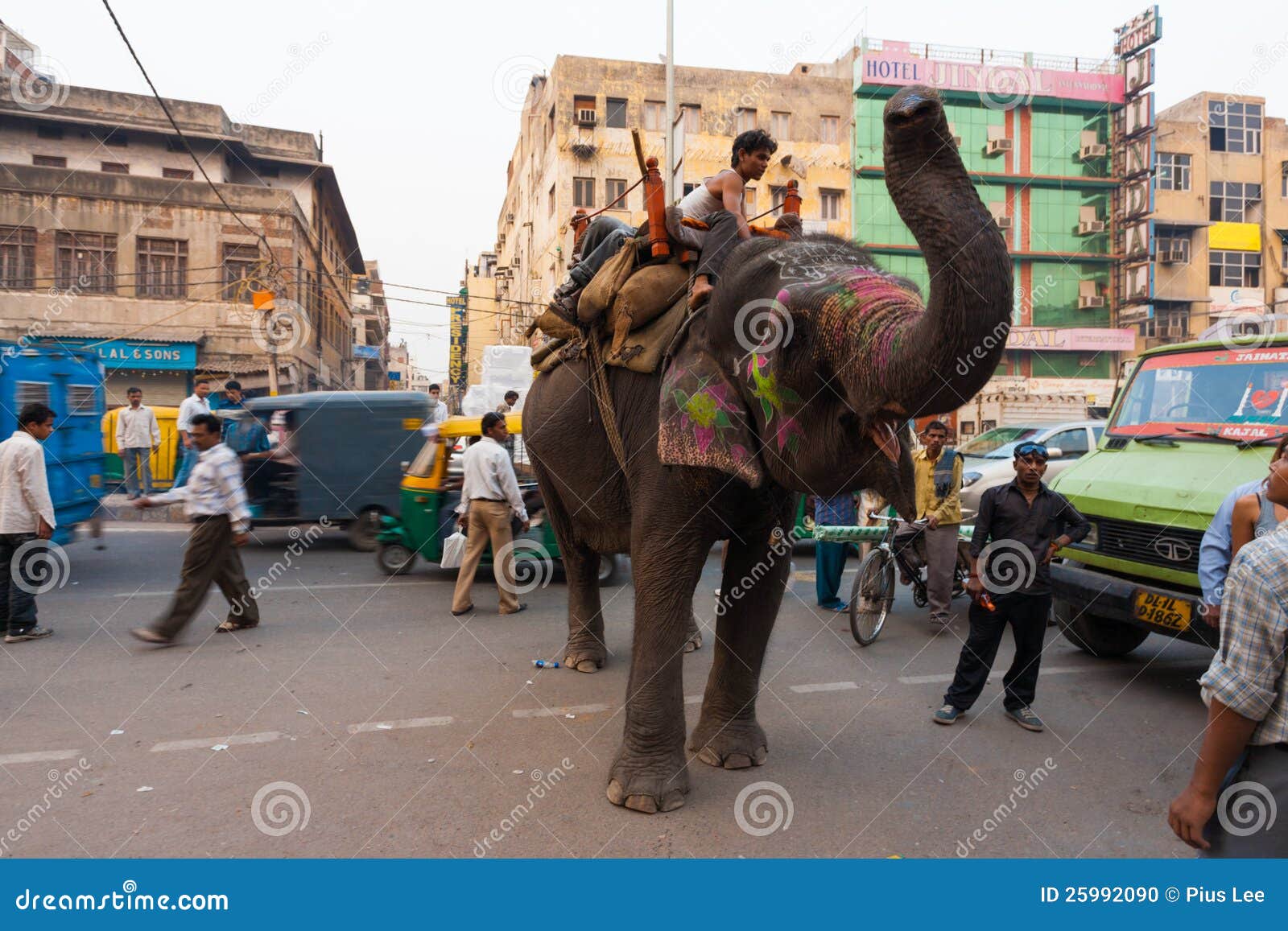 Downtown Delhi Traffic Elephant Cause India Editorial Image - Image of ...