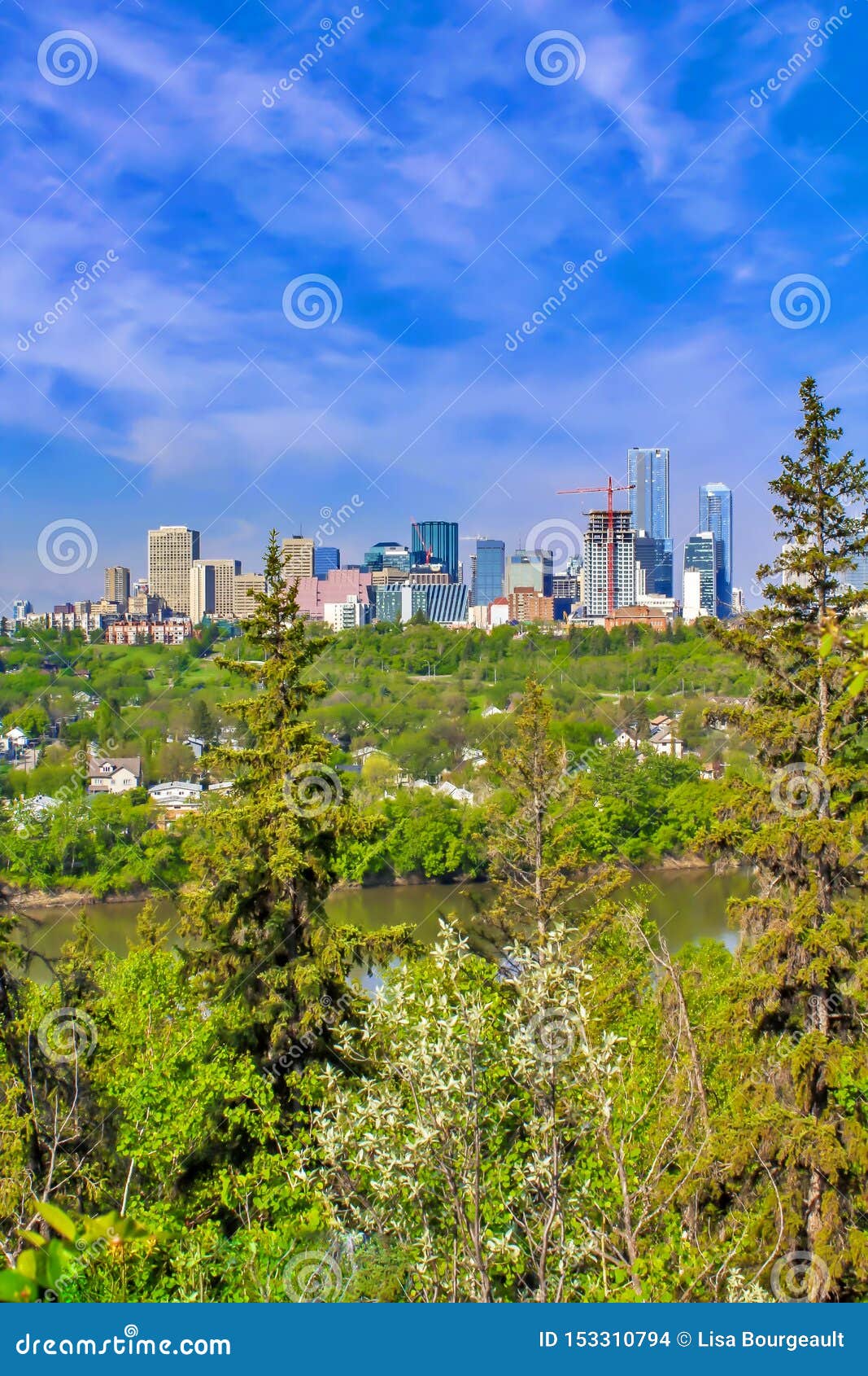 Downtown Edmonton Behind Lush Greenery Stock Photo - Image of trees ...