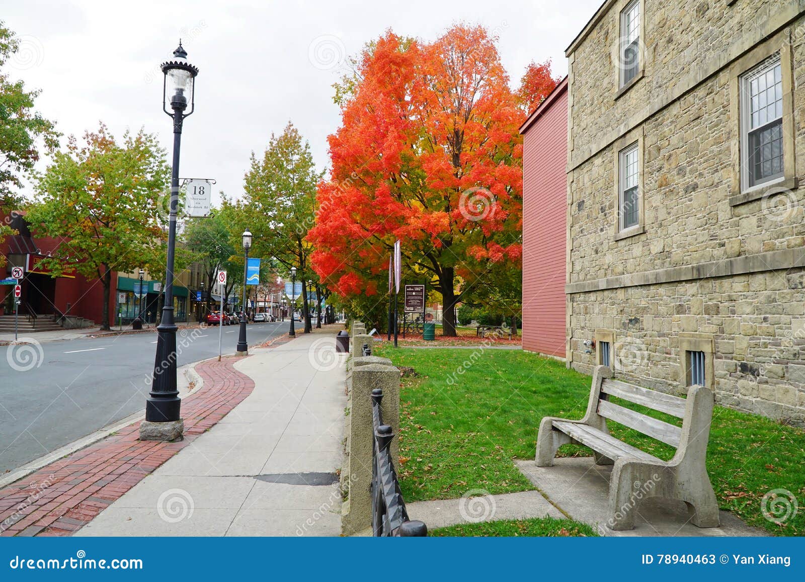 Downtown Fredericton editorial stock photo. Image of foliage - 78940463