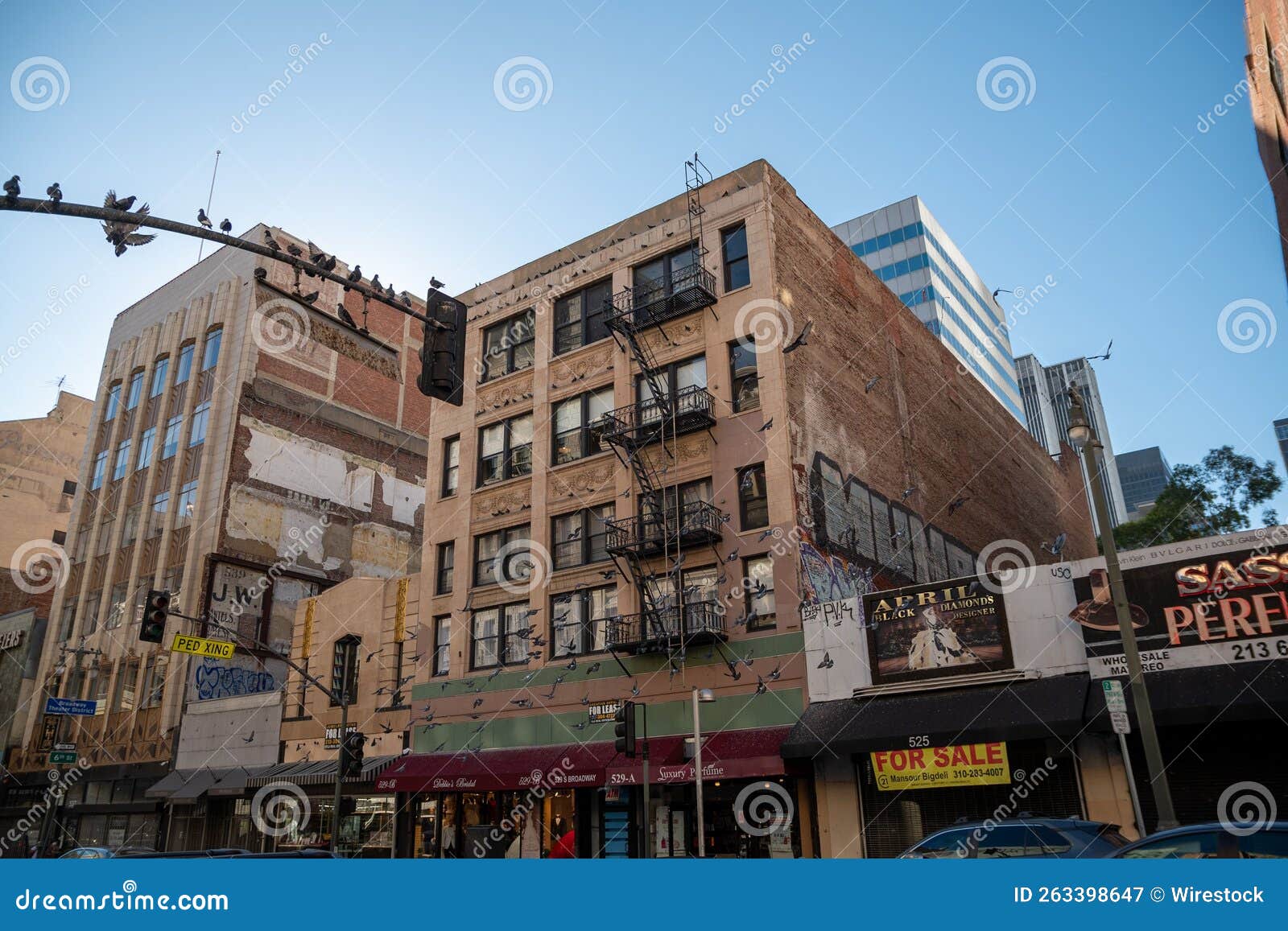 DOWNTOWN Los Angeles Birds on a Lamp Post Editorial Photography - Image ...