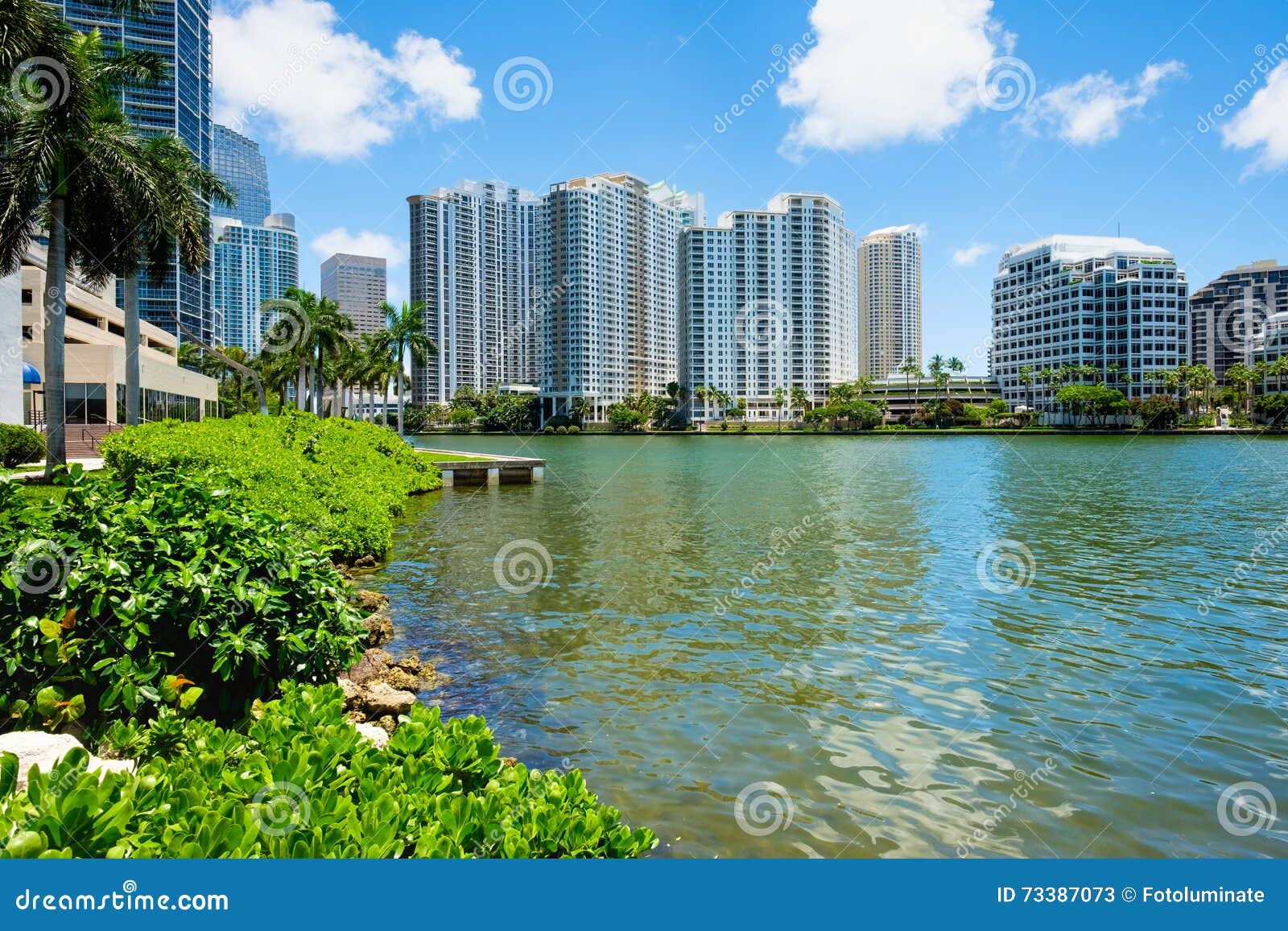 Downtown Miami Cityscape stock image. Image of condo - 73387073