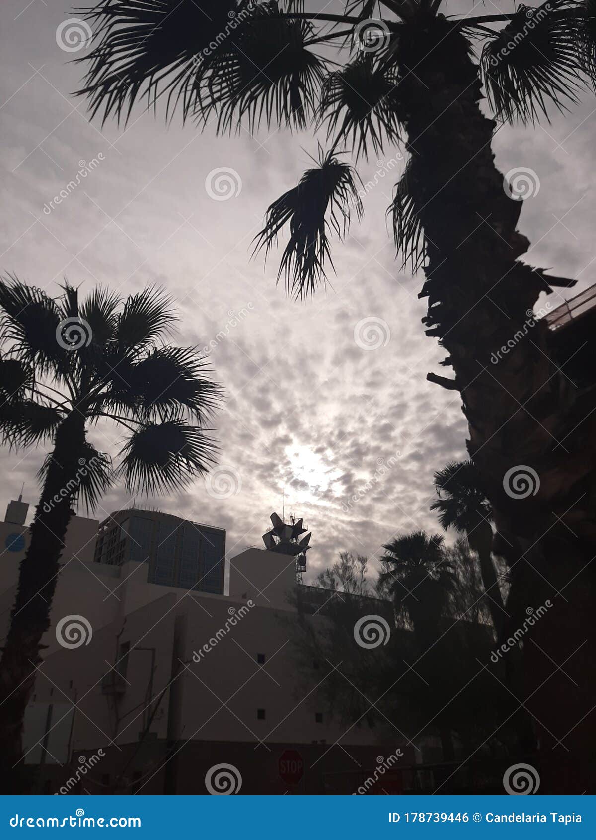 Downtown Phx Az stock photo. Image of sunlight, cloud - 178739446