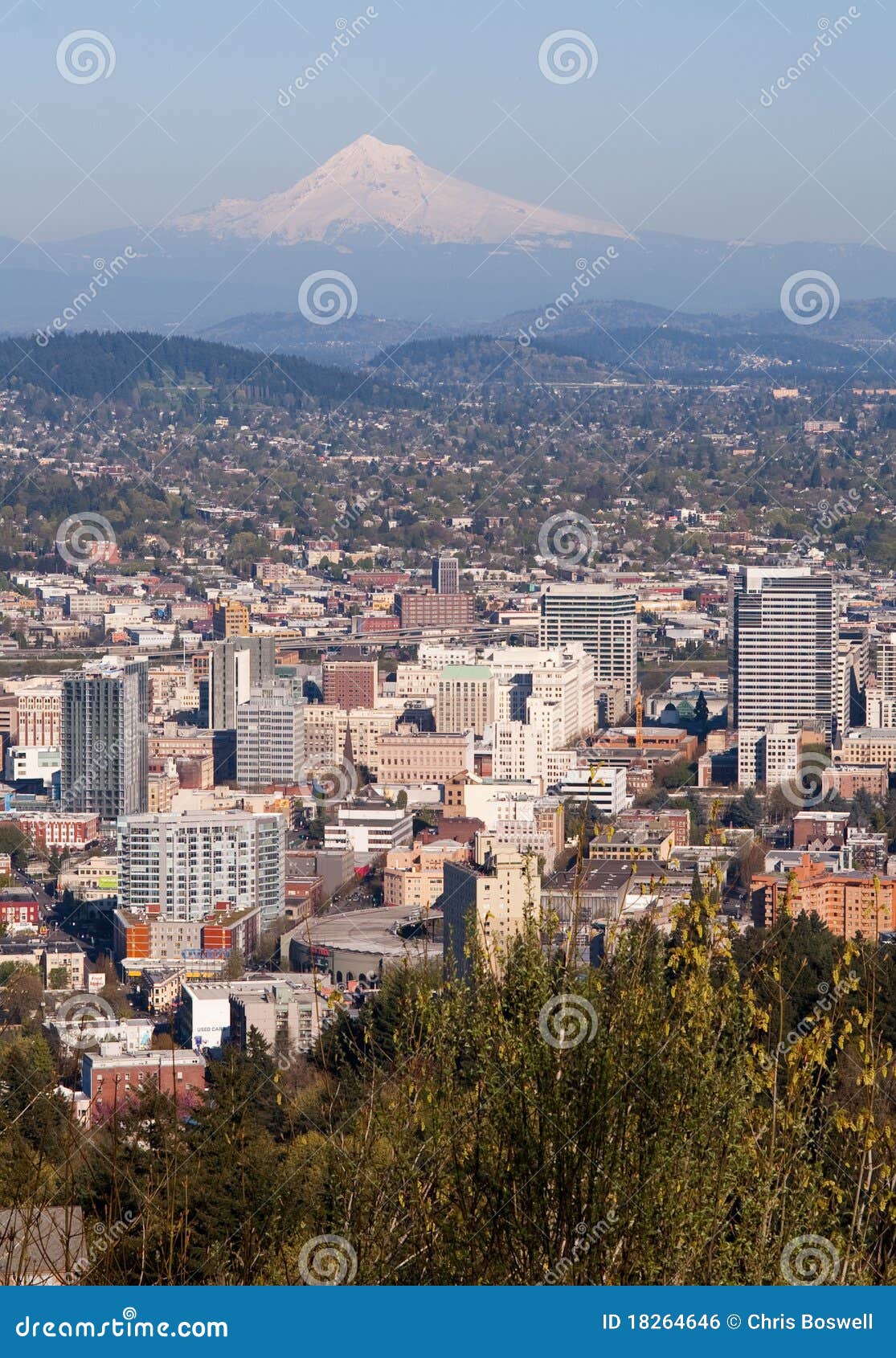 Vertical Downtown Portland Buildings Mt Hood Stock Photo - Image of ...