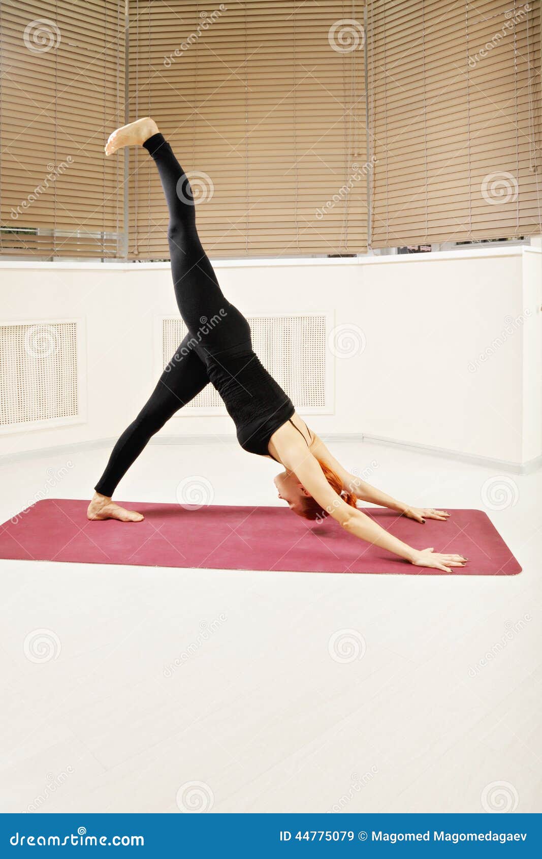 Downward Facing Dog Leg Raised Pose Stock Image - Image of yoga ...