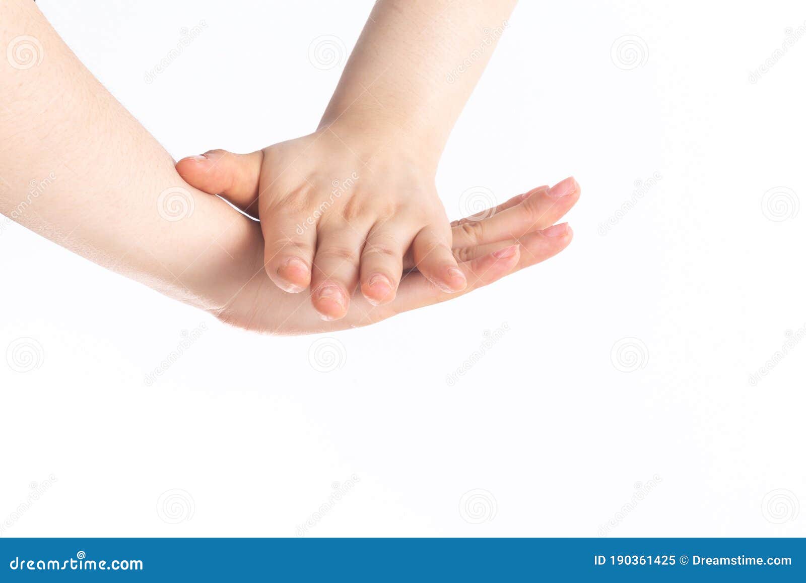 Downward Hand in Front of the White Background Stock Image - Image of ...