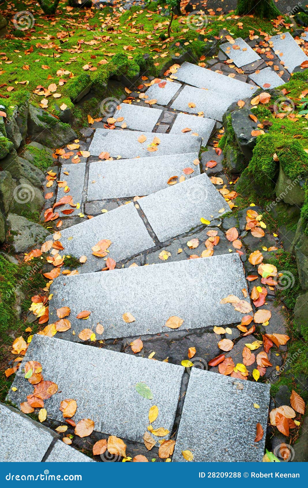 Downward leading steps stock photo. Image of turn, outdoors - 28209288