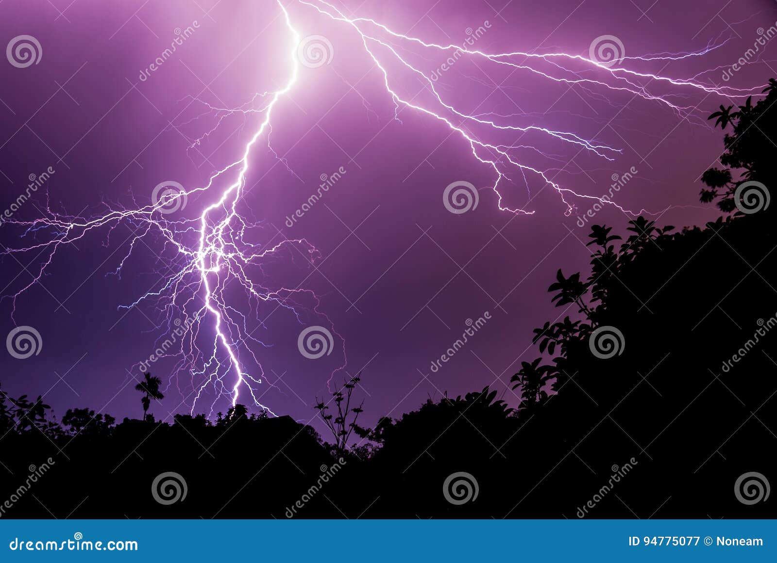 Downward Lightning Stroke On Dark Purple Sky With Silhouette Forest ...