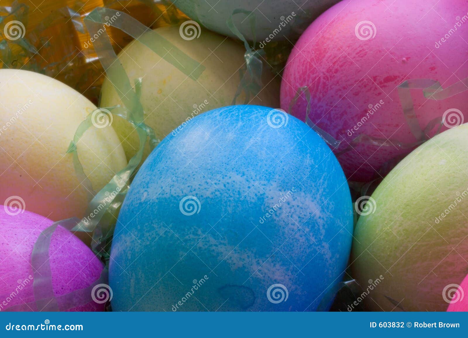 A Dozen Easter Eggs stock photo. Image of carton, colorful - 603832