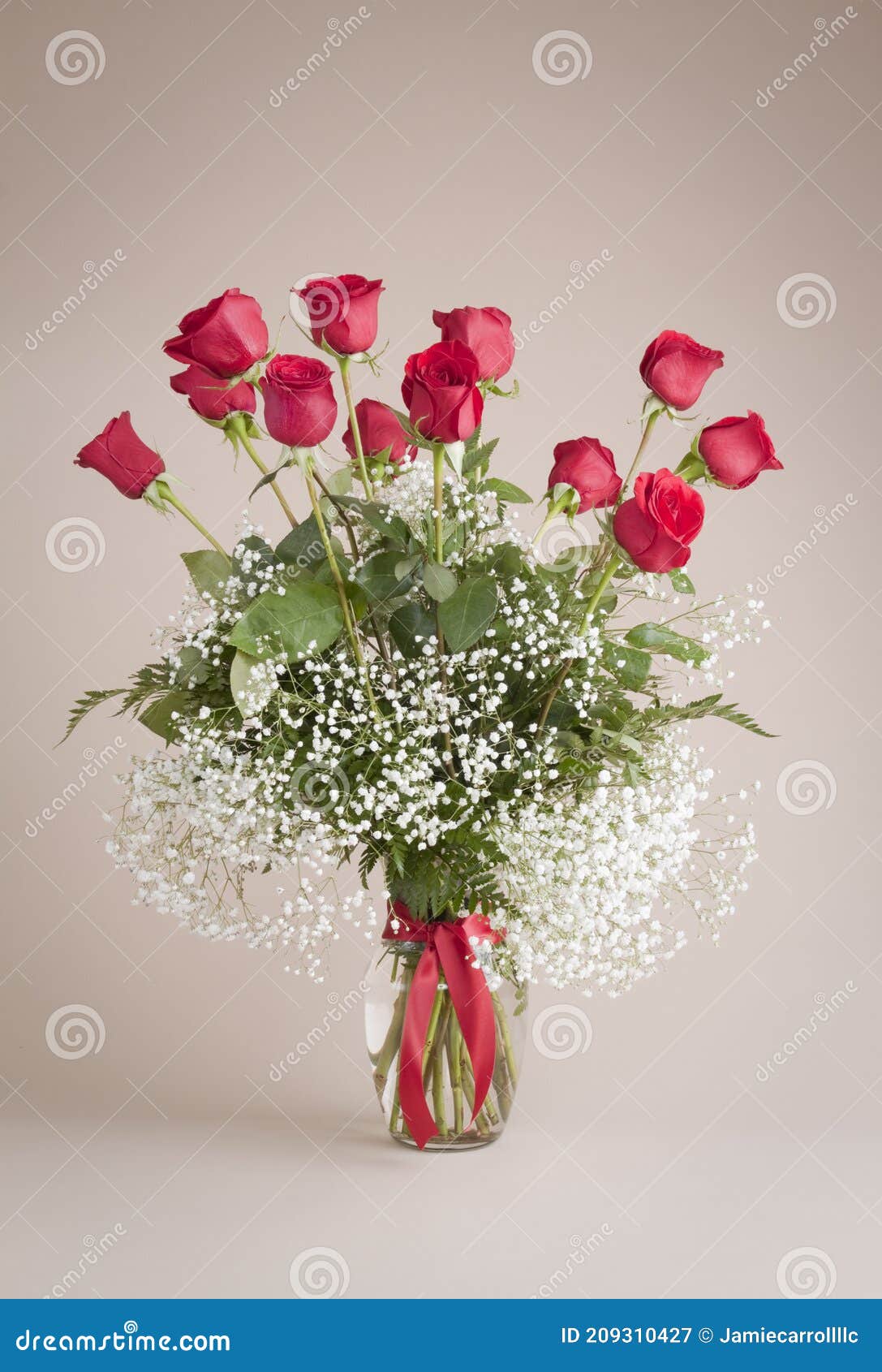 One Dozen Red Roses on Solid Background in Vase Stock Image - Image of ...