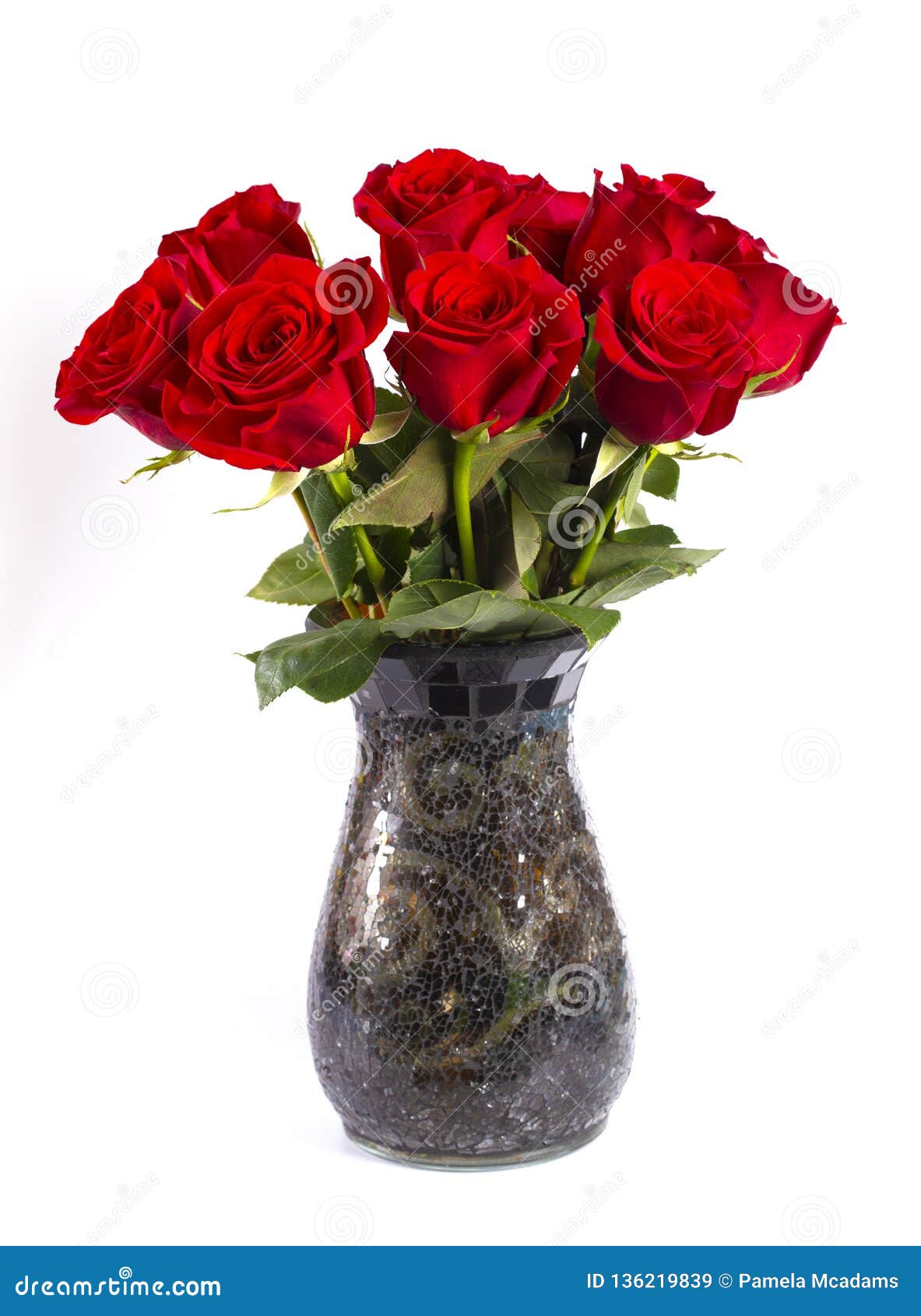 Dozen Red Roses in a Vase Isolated on a White Background Stock Image ...