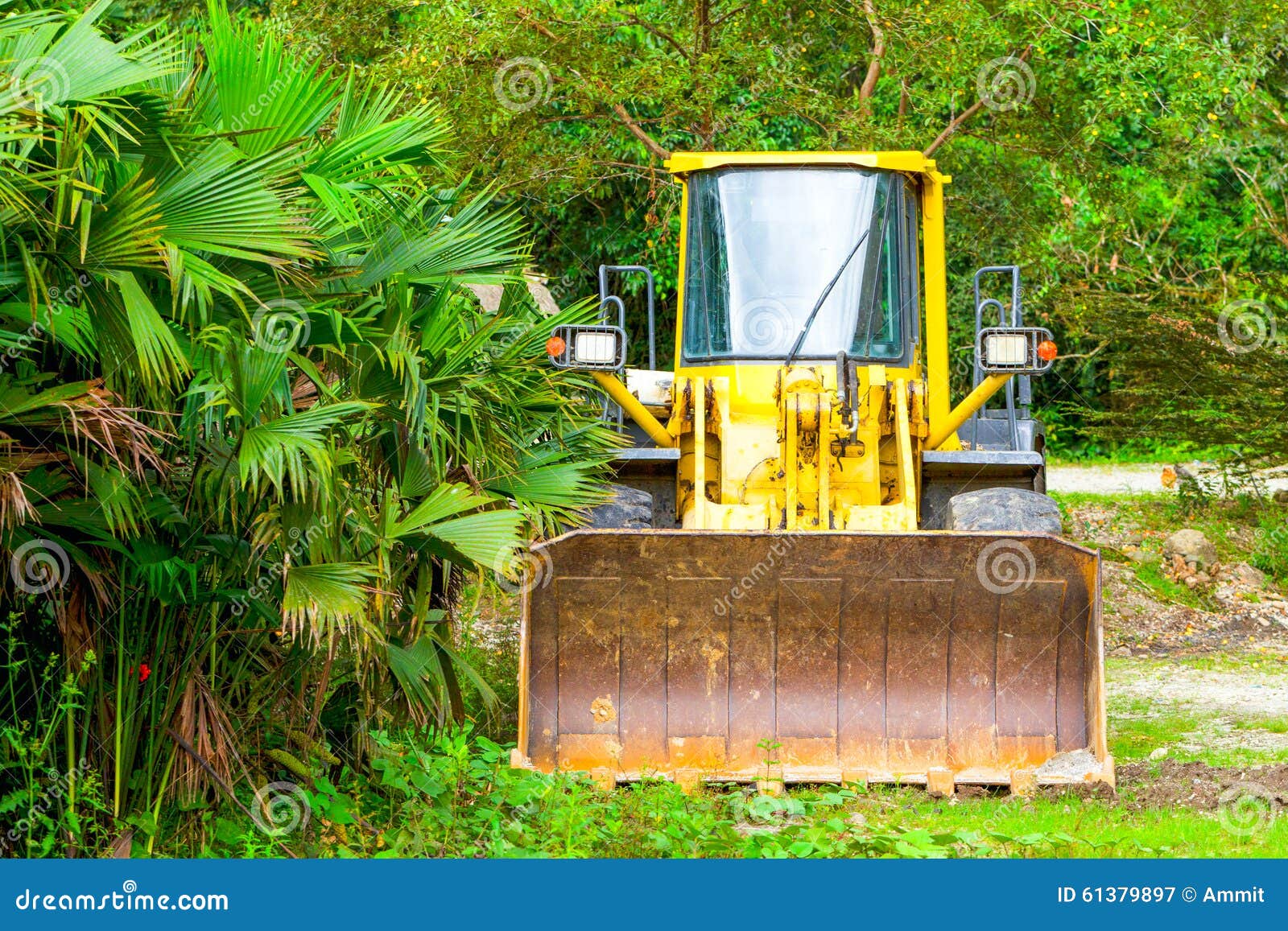 Dozer in Amazonia stock image. Image of environment, equipment - 61379897