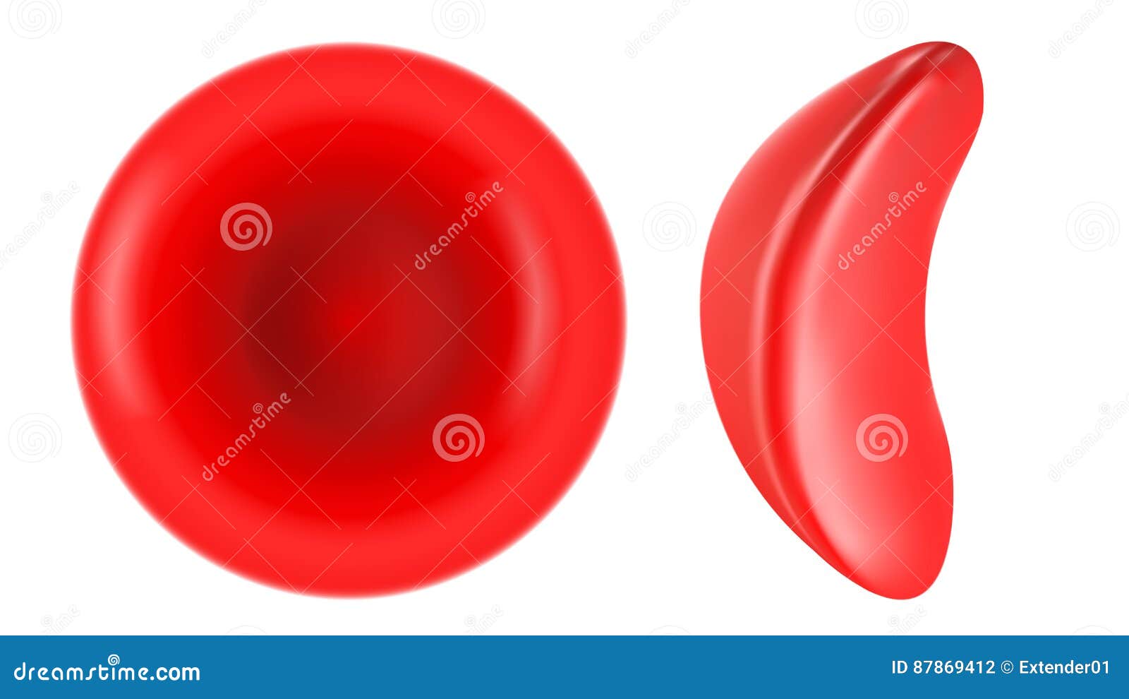 Drépanocyte Et Illustration Normale De Globule Rouge Illustration de ...