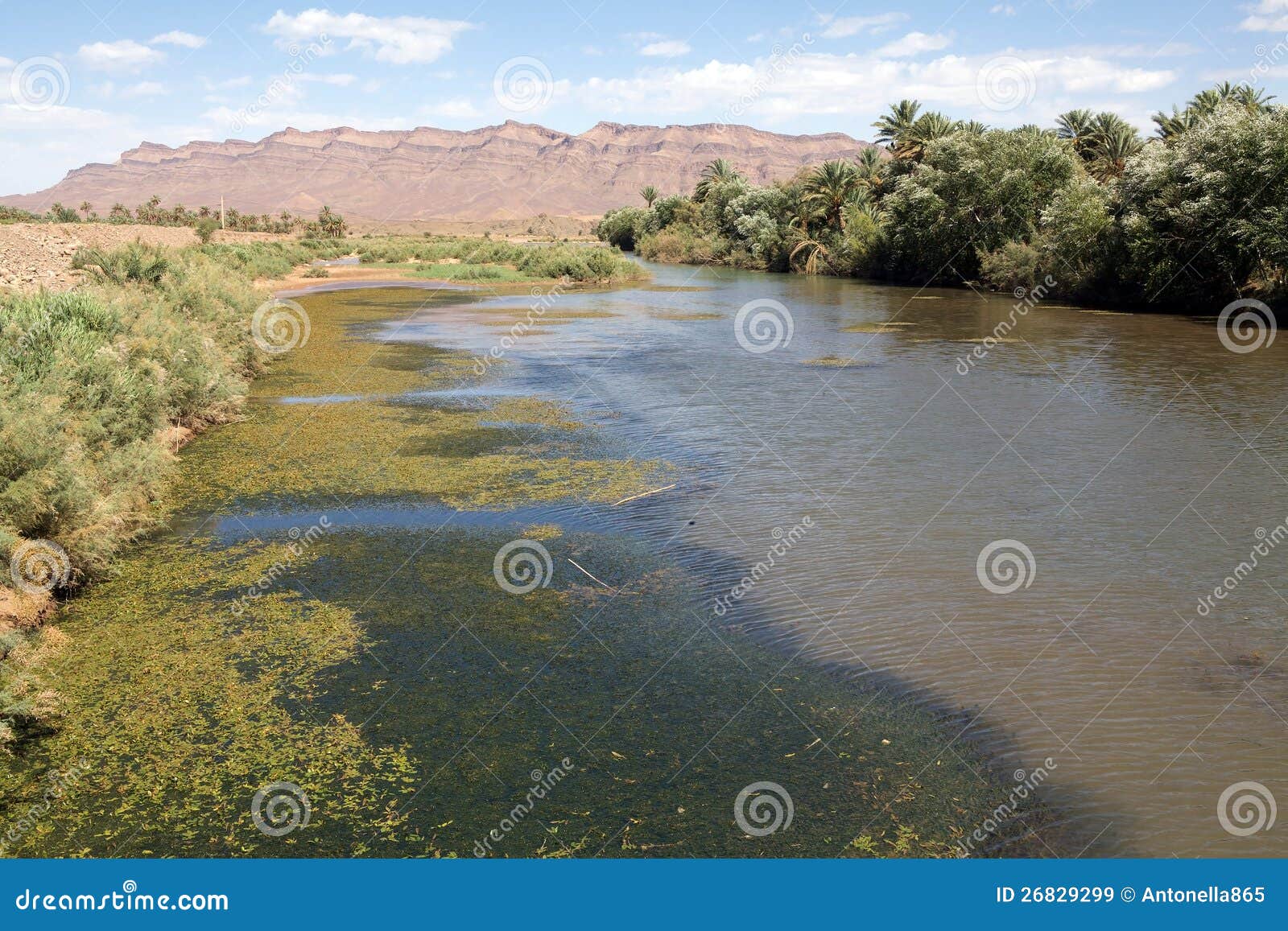 Draa river landscape stock image. Image of outdoor, landscape - 26829299