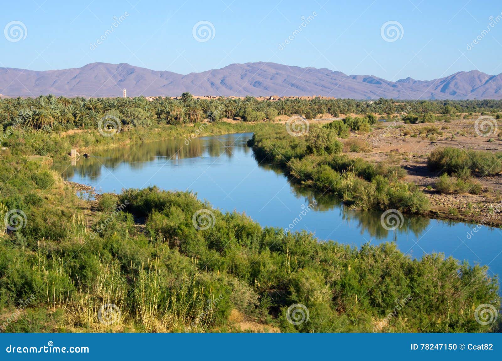 Draa river in Morocco stock photo. Image of beautiful - 78247150