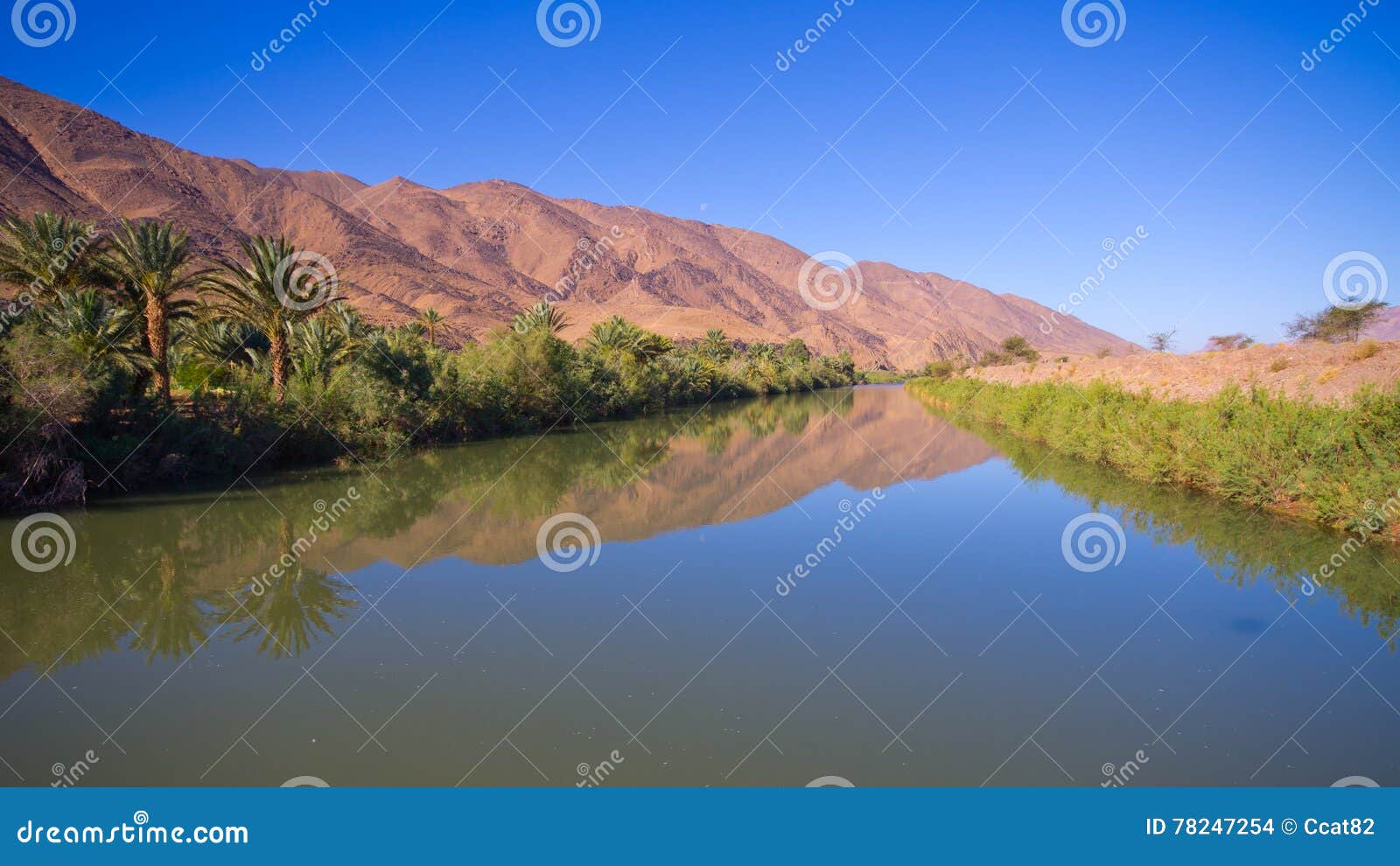 Draa river in Morocco stock photo. Image of date, natural - 78247254