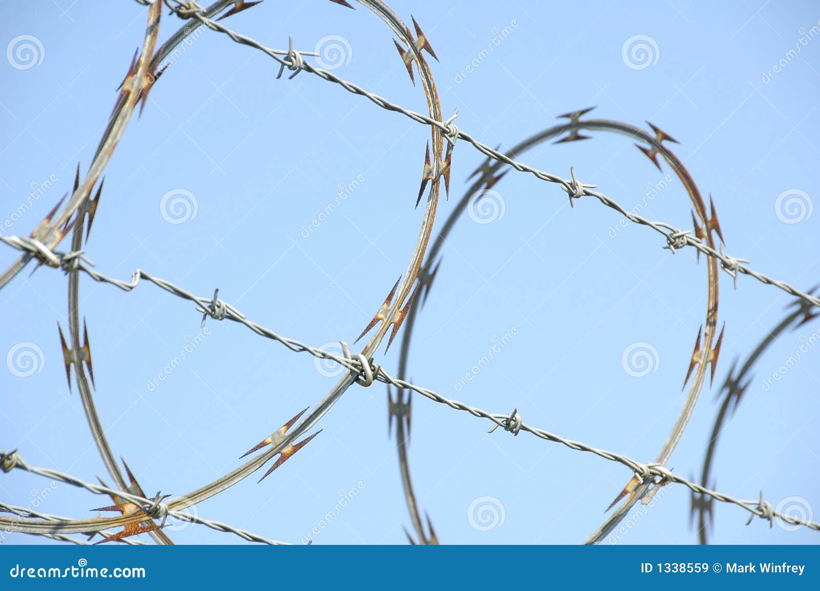 Scheermesdraad 1 Picture. Image: 1338559