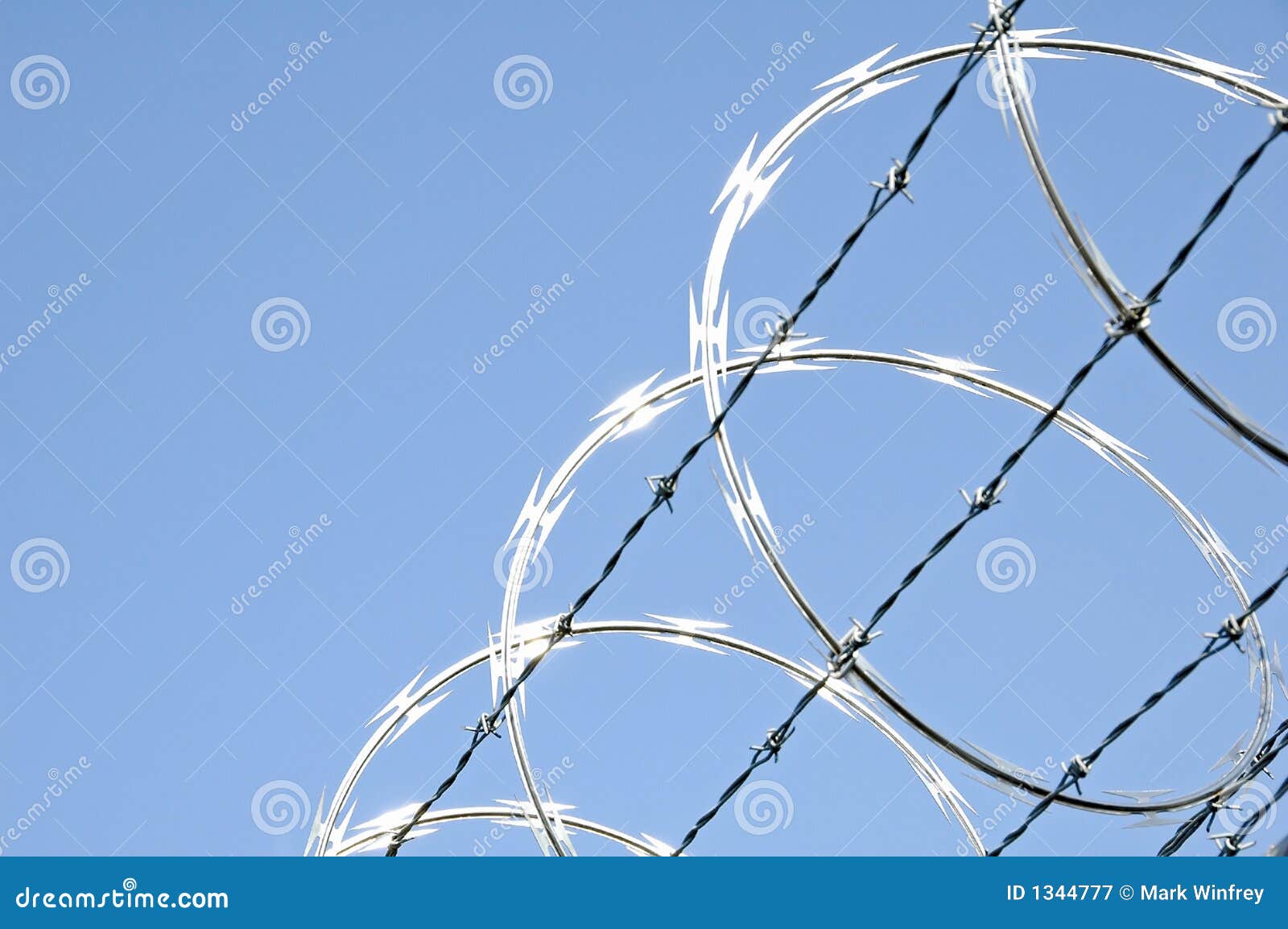 Scheermesdraad 3 Picture. Image: 1344777