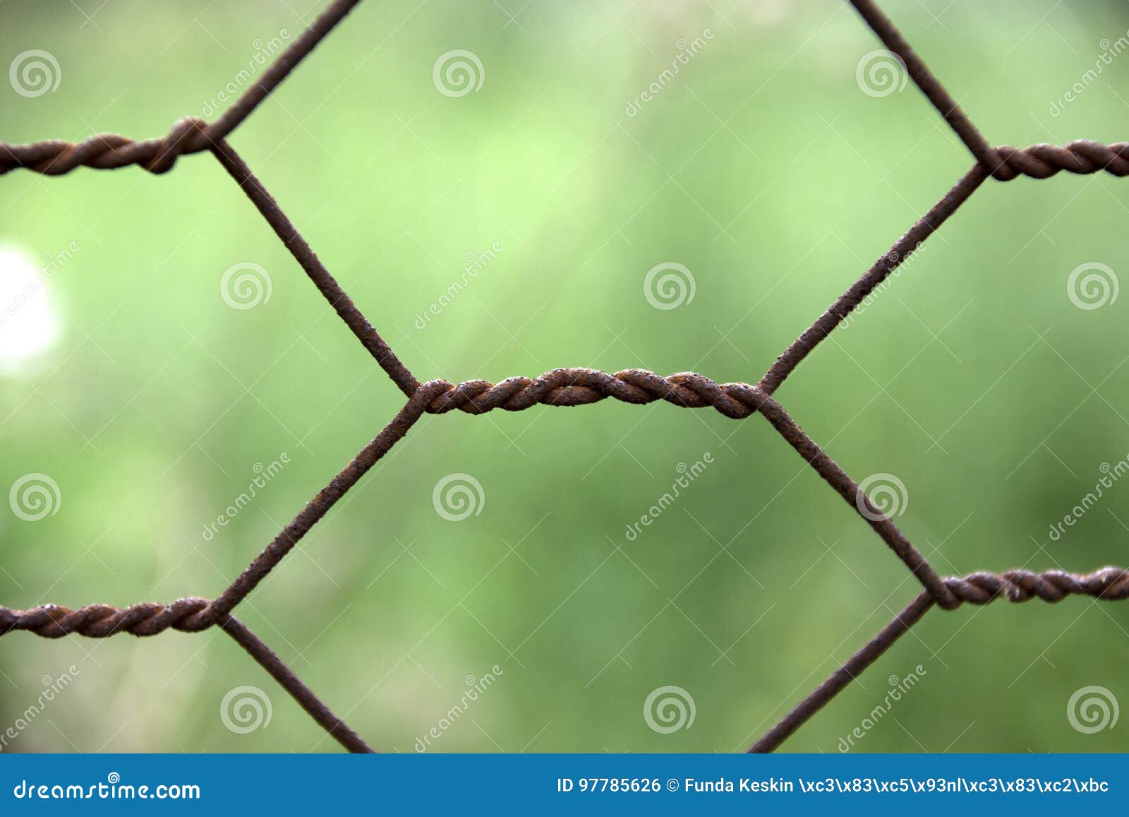 Draad Het Opleveren Omheining Stock Foto - Image of bijlage ...