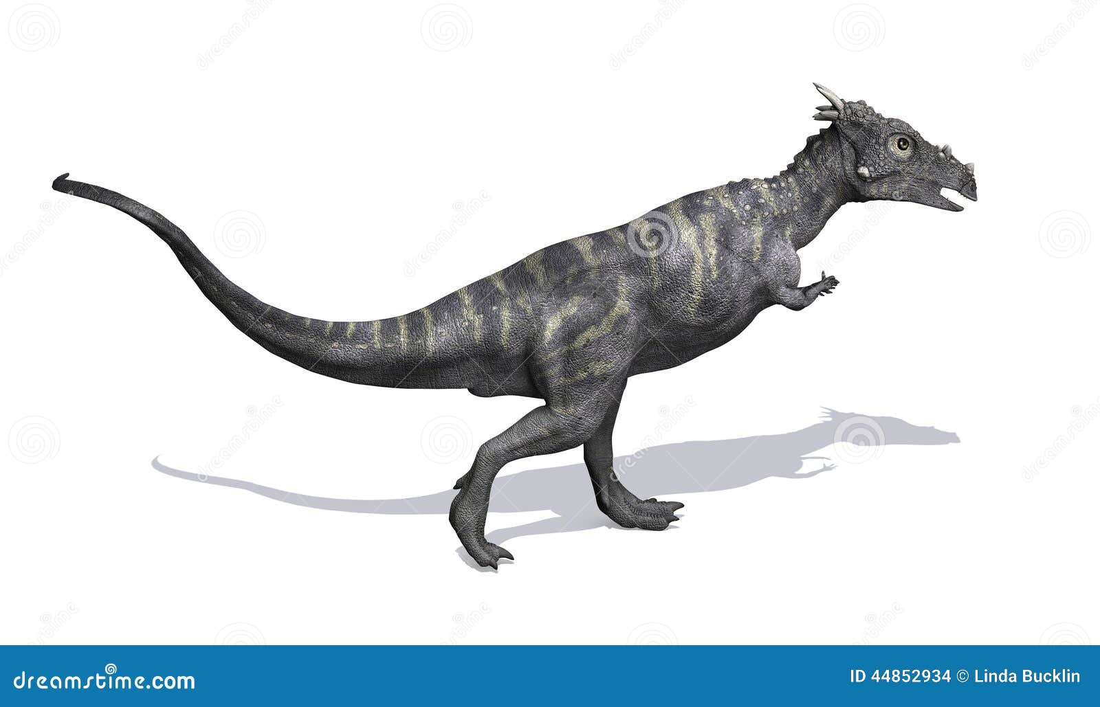 Dracorex stock de ilustración. Ilustración de aislado - 44852934