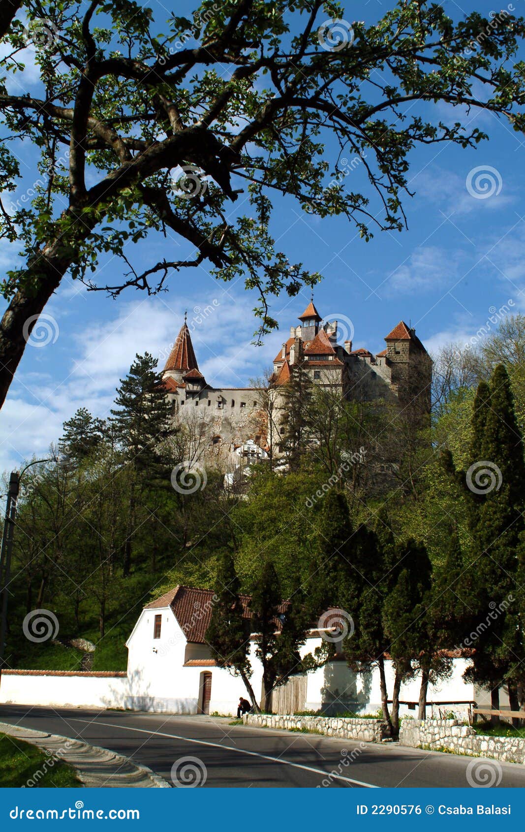 Dracula Castle Bran Royalty-Free Stock Photography | CartoonDealer.com ...