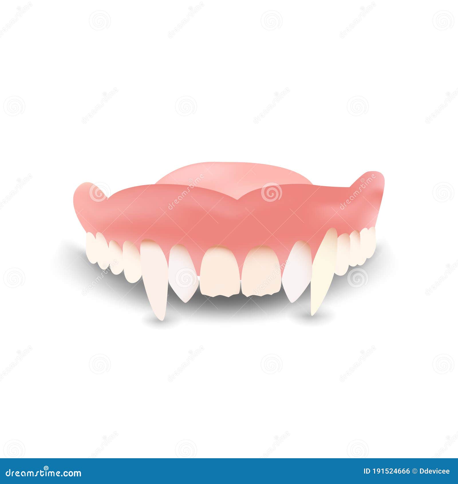 Vampire Dentures With Huge Fangs In A Glass Of Water, Halloween ...