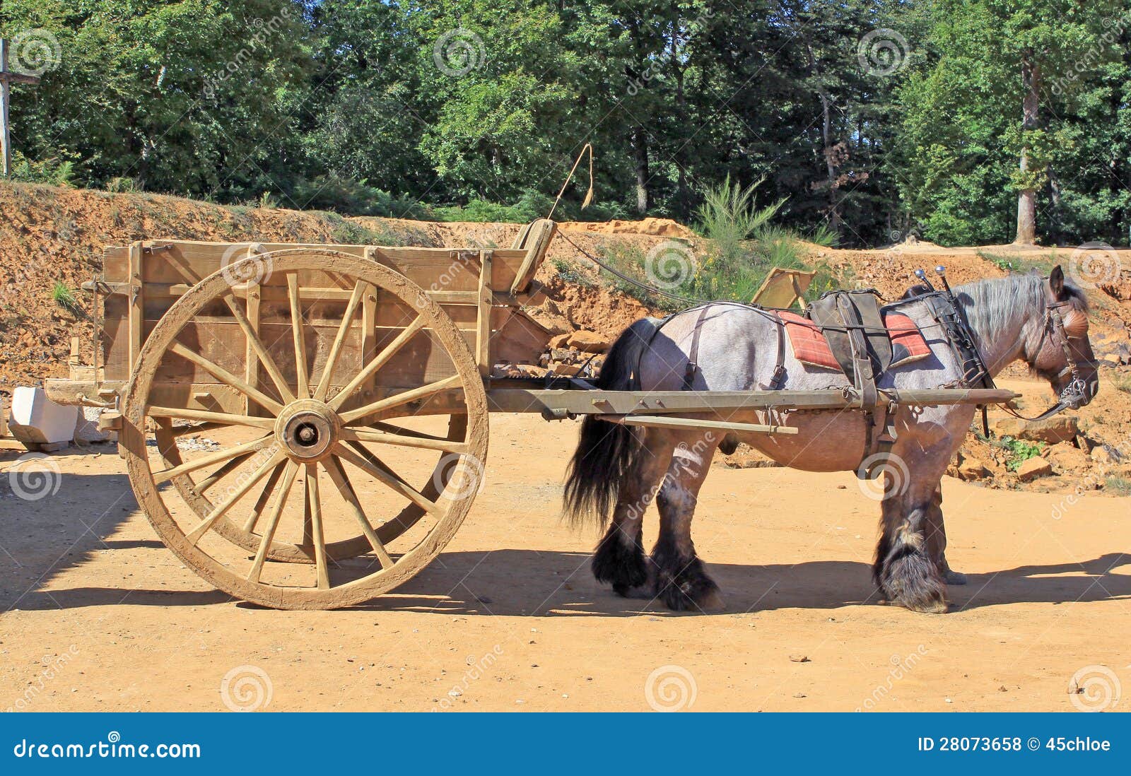 Draft horse stock photo. Image of cart, middle, agriculture - 28073658