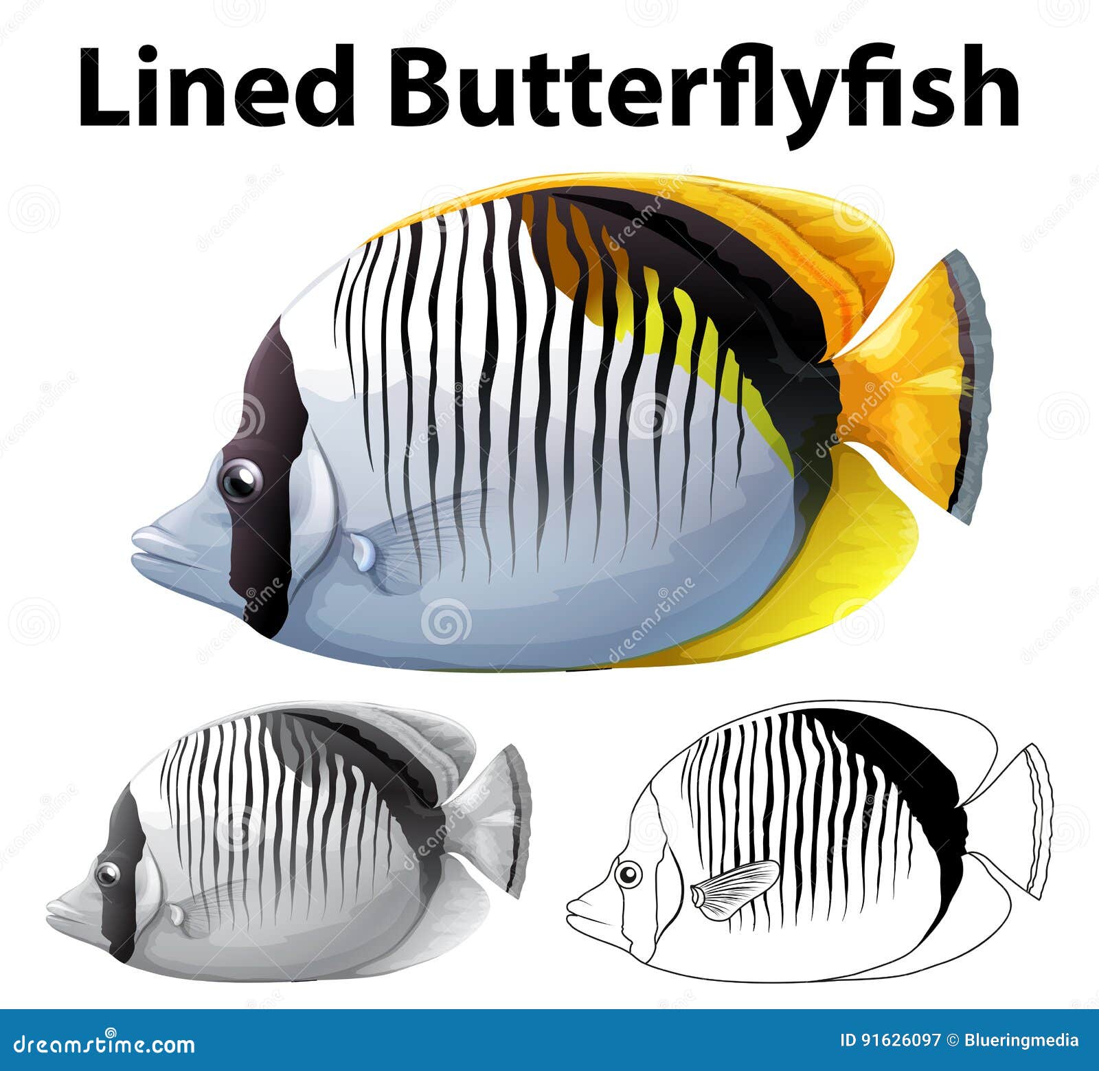 Lined Fish Stock Illustrations – 1,767 Lined Fish Stock Illustrations ...