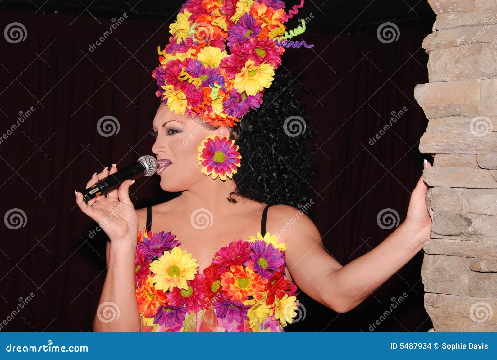 Drag queen singing. stock photo. Image of adult, class - 5487934
