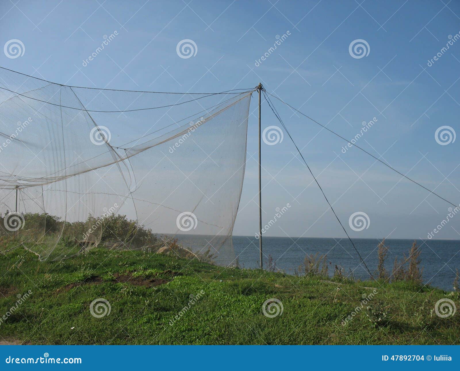 Dragnet fishing stock photo. Image of seine, fishing - 47892704