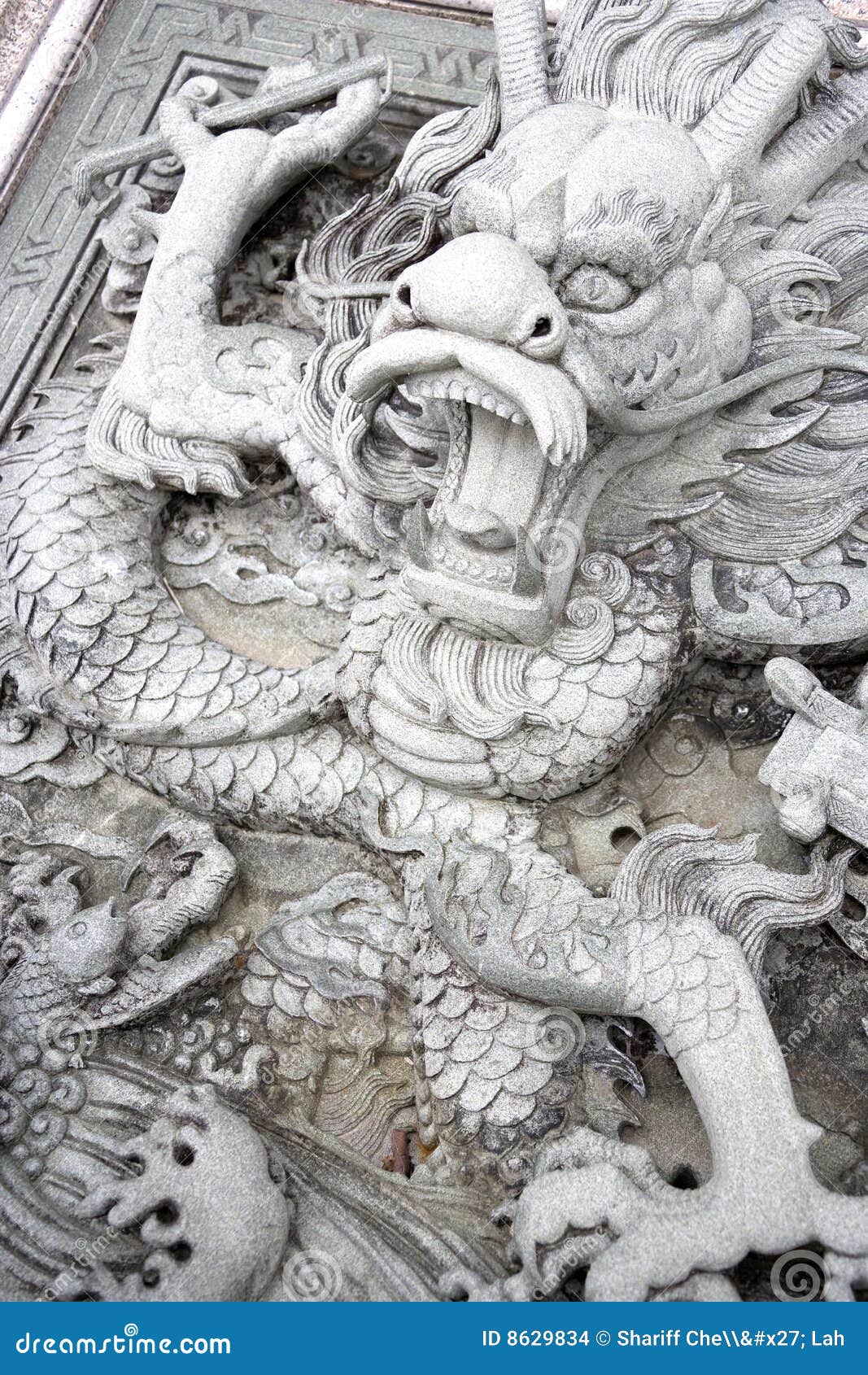 Bas-relief With Chinese Dragon Stock Image | CartoonDealer.com #7332247