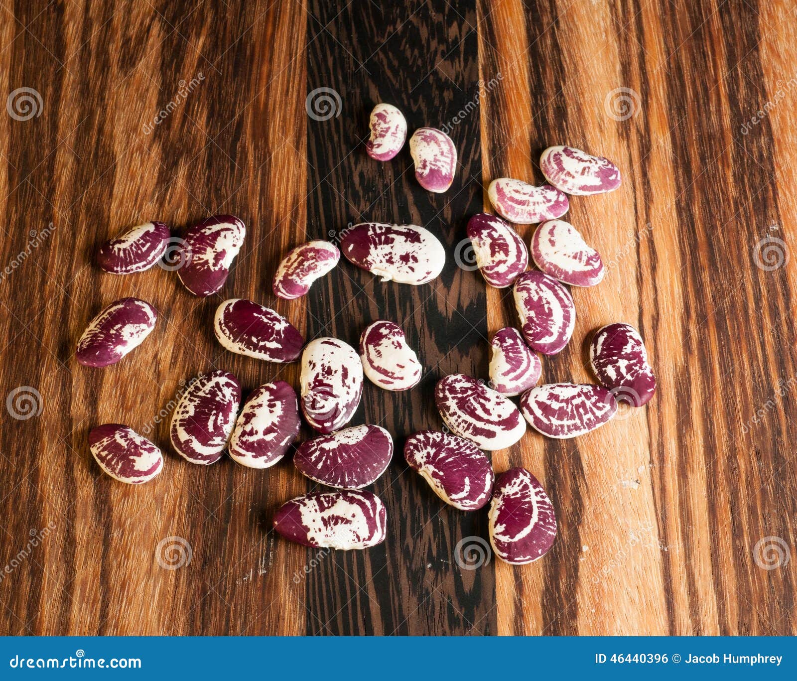Dragon Beans stock photo. Image of unique, beans, patterned - 46440396