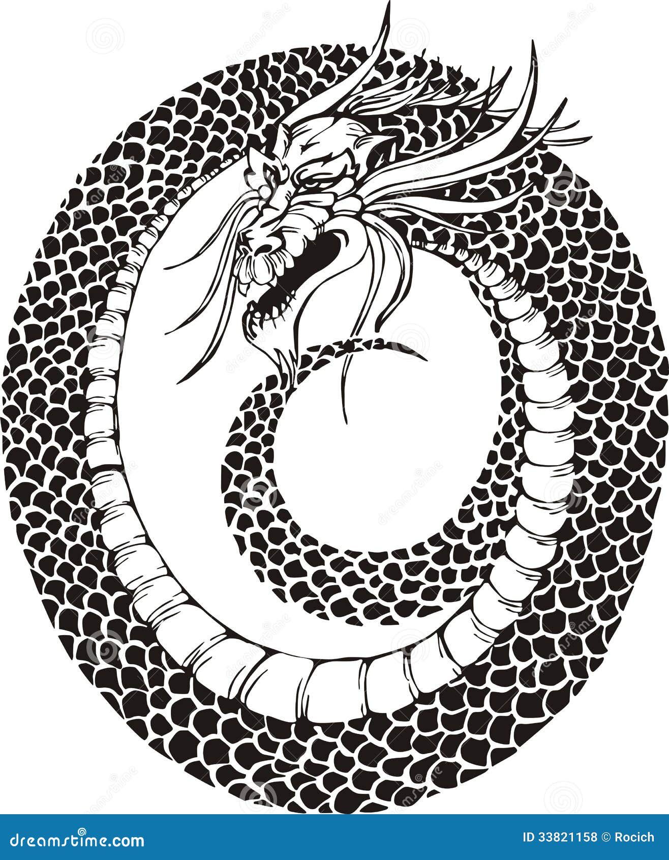 Dragon circle stock vector. Illustration of dragon, traditional - 33821158