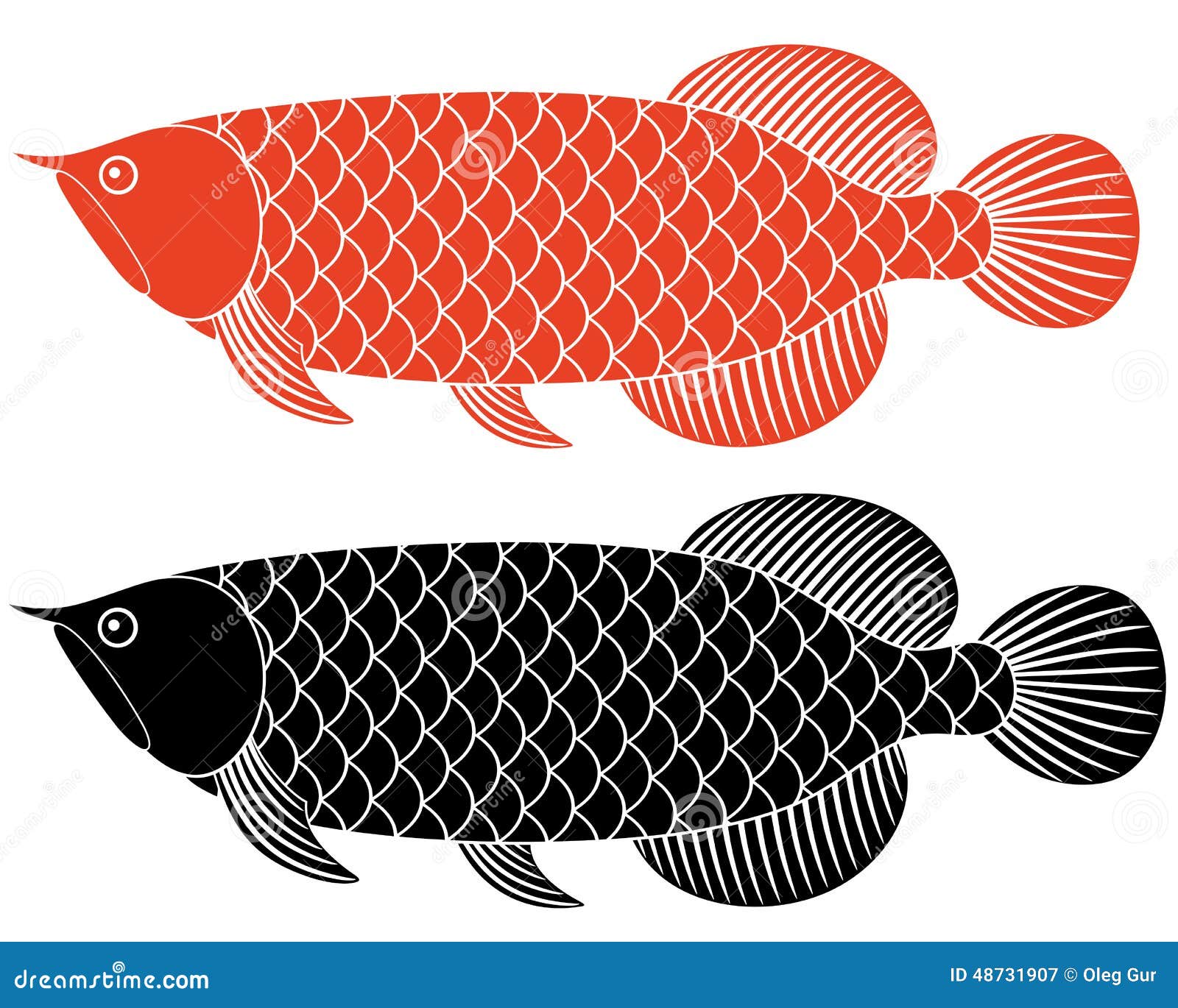 Dragon Koi Fish, Japanese Carp Line Drawing Coloring Book Vector Image ...