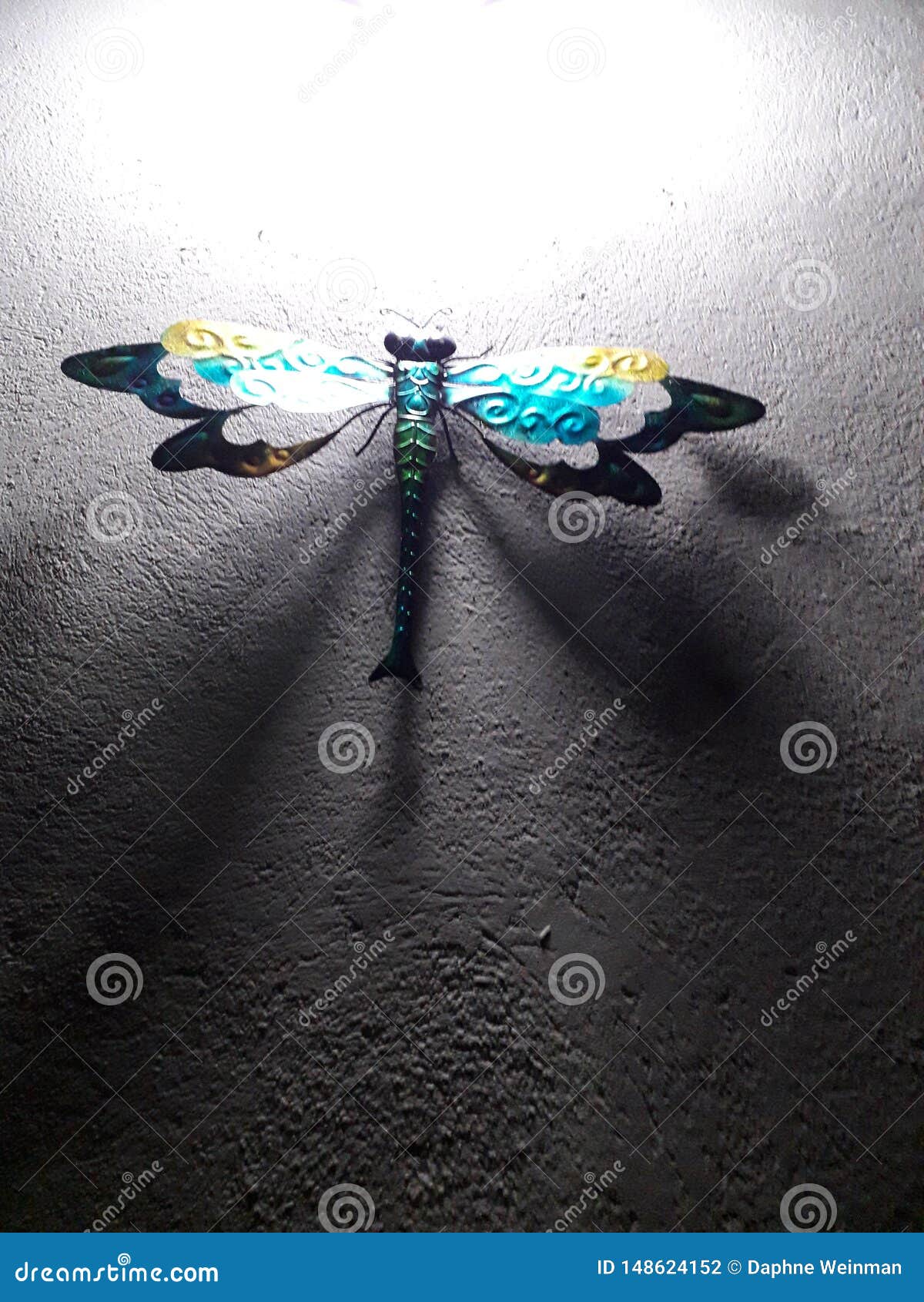 Dragon fly stock photo. Image of blue, shadow, dragon - 148624152