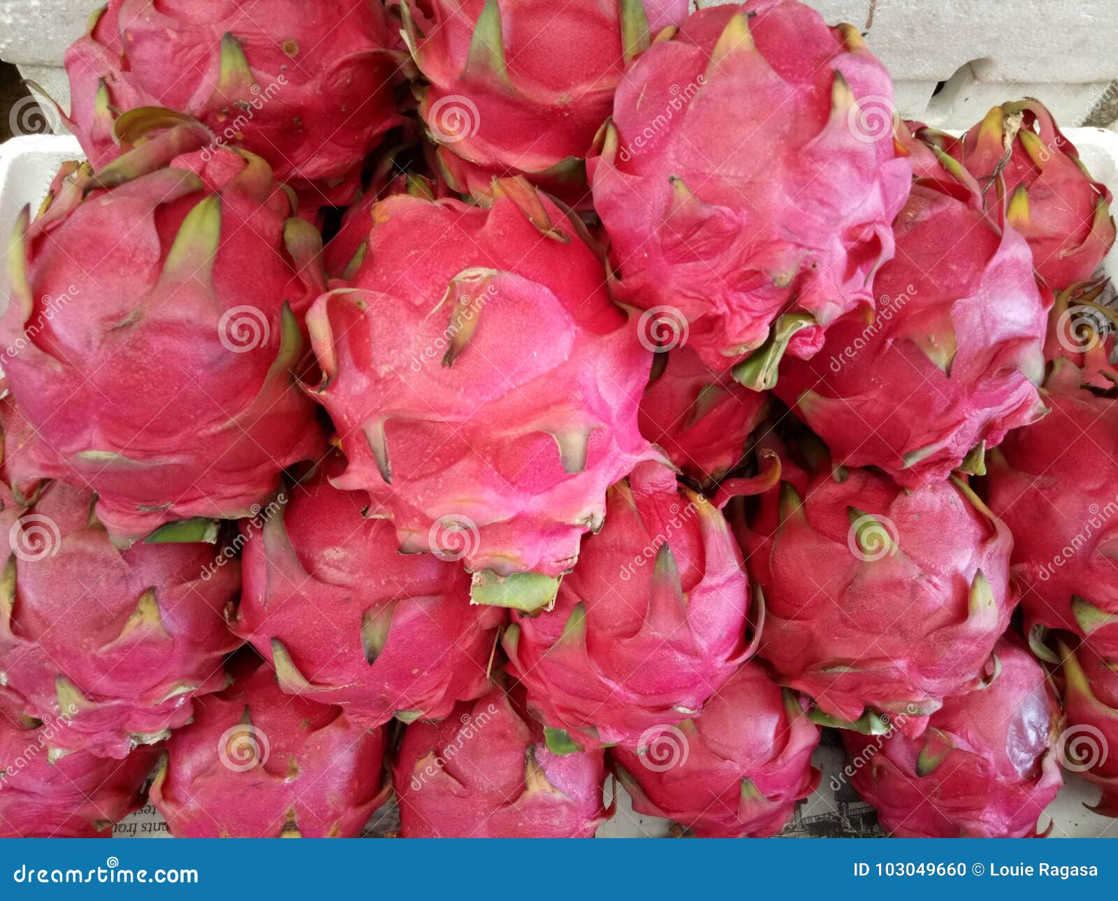 Dragon Fruit stock foto. Image of rood, gezond, vrucht - 103049660