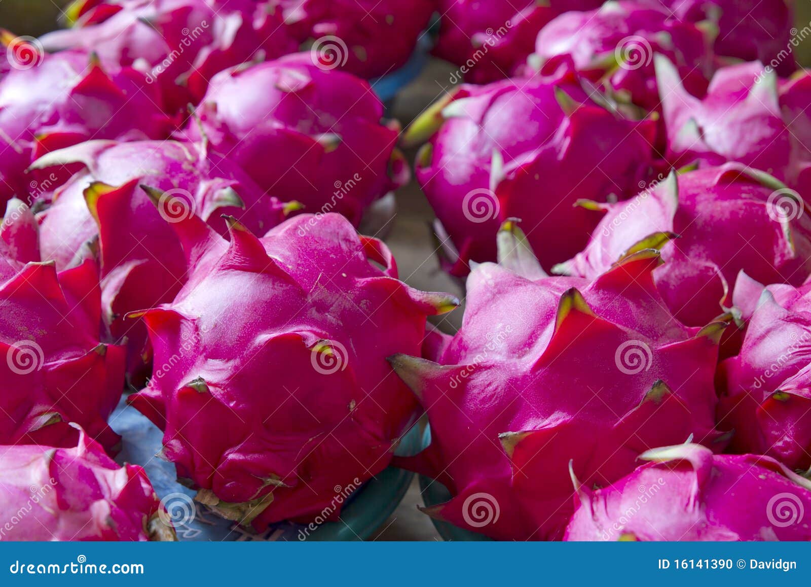 Dragon Fruit stock photo. Image of pitaya, strawberry - 16141390