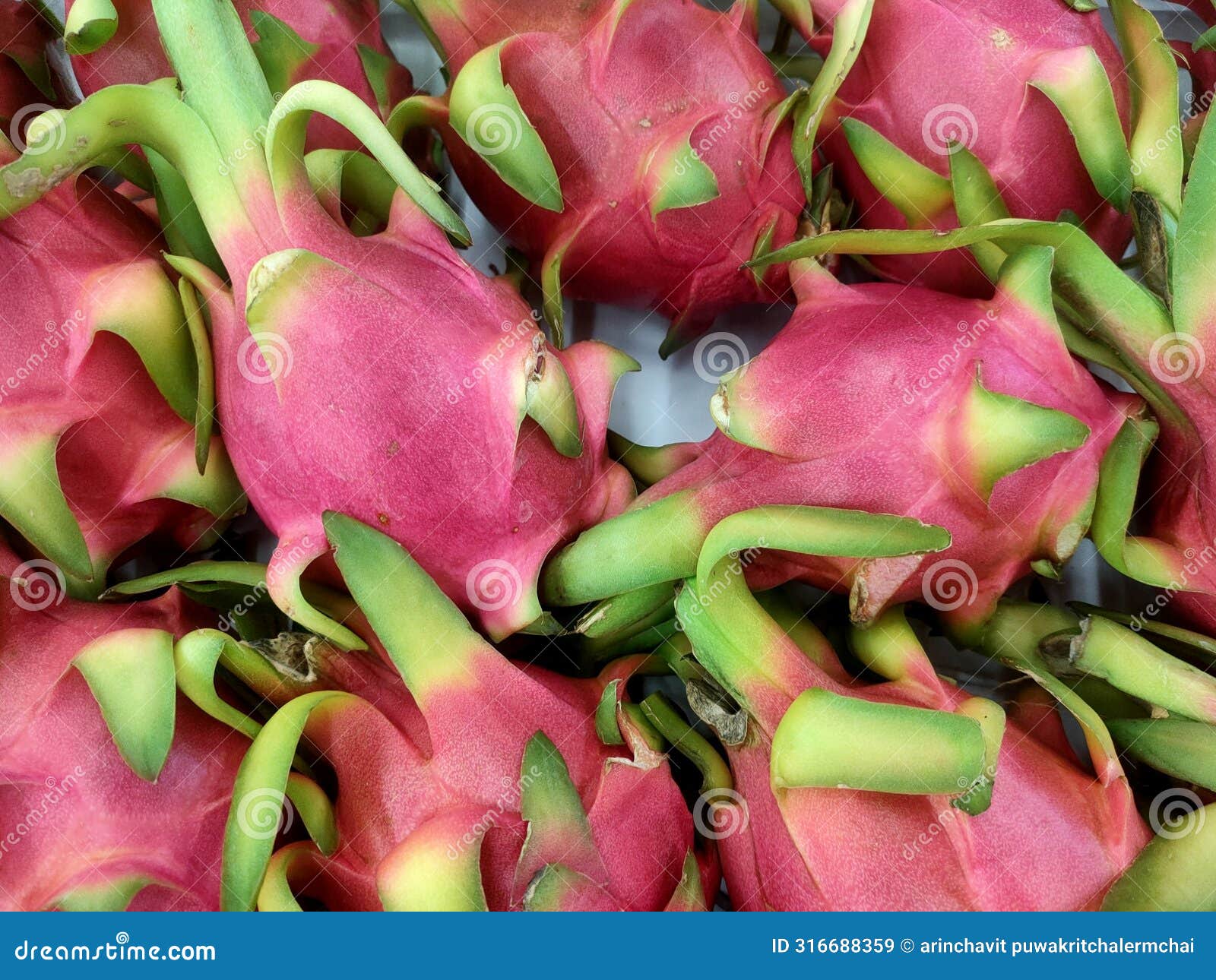The Dragon Fruit Background Abstract Wallpaper. Stock Image - Image of ...