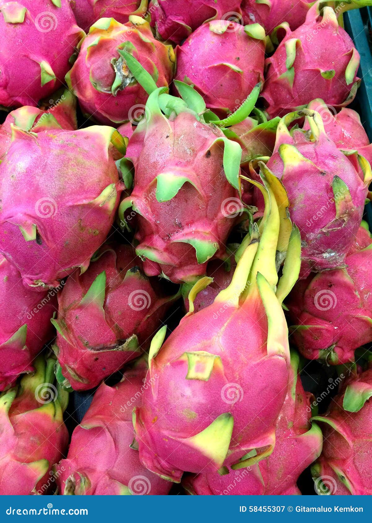 Dragon fruit stock image. Image of fruit, chiangmai, graden - 58455307